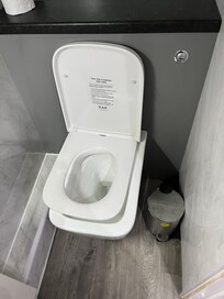 Loose toilet seat