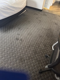 La Alfombra estaba
Asquerosa