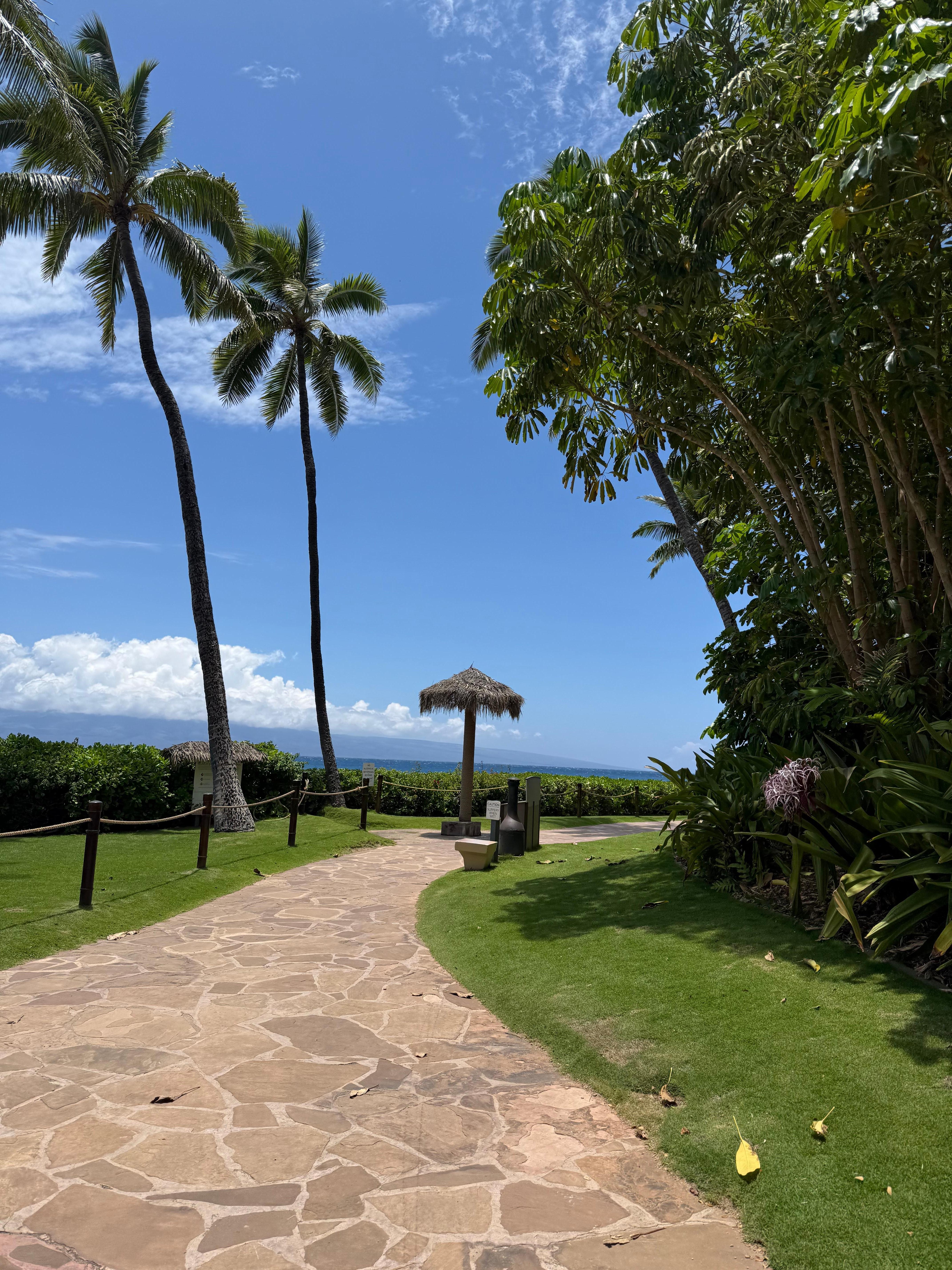 The beachside path