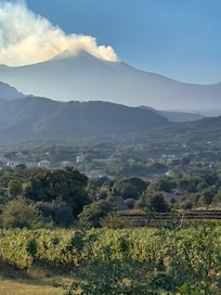 Views over the vines towards Etna