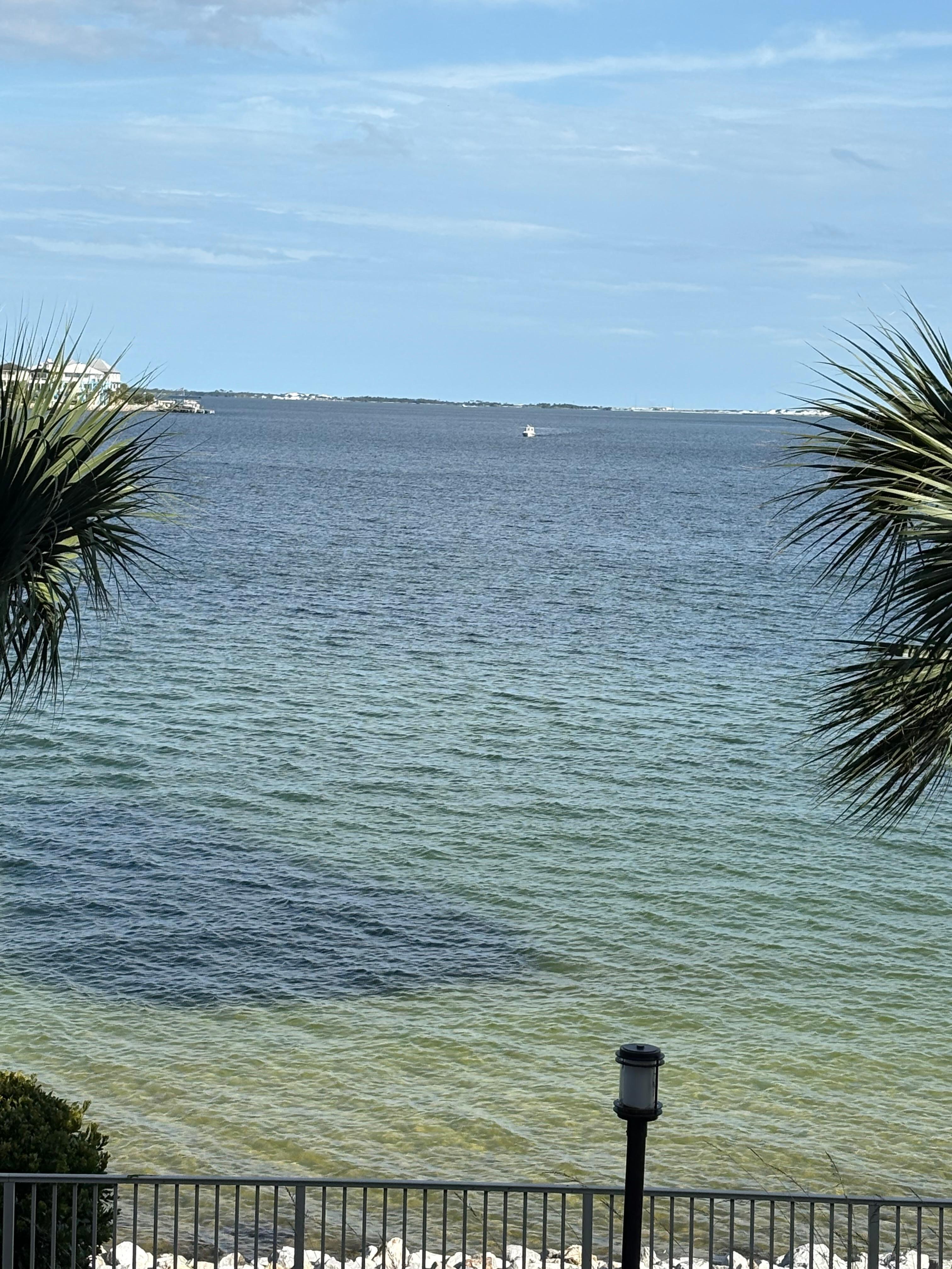 View from balcony.