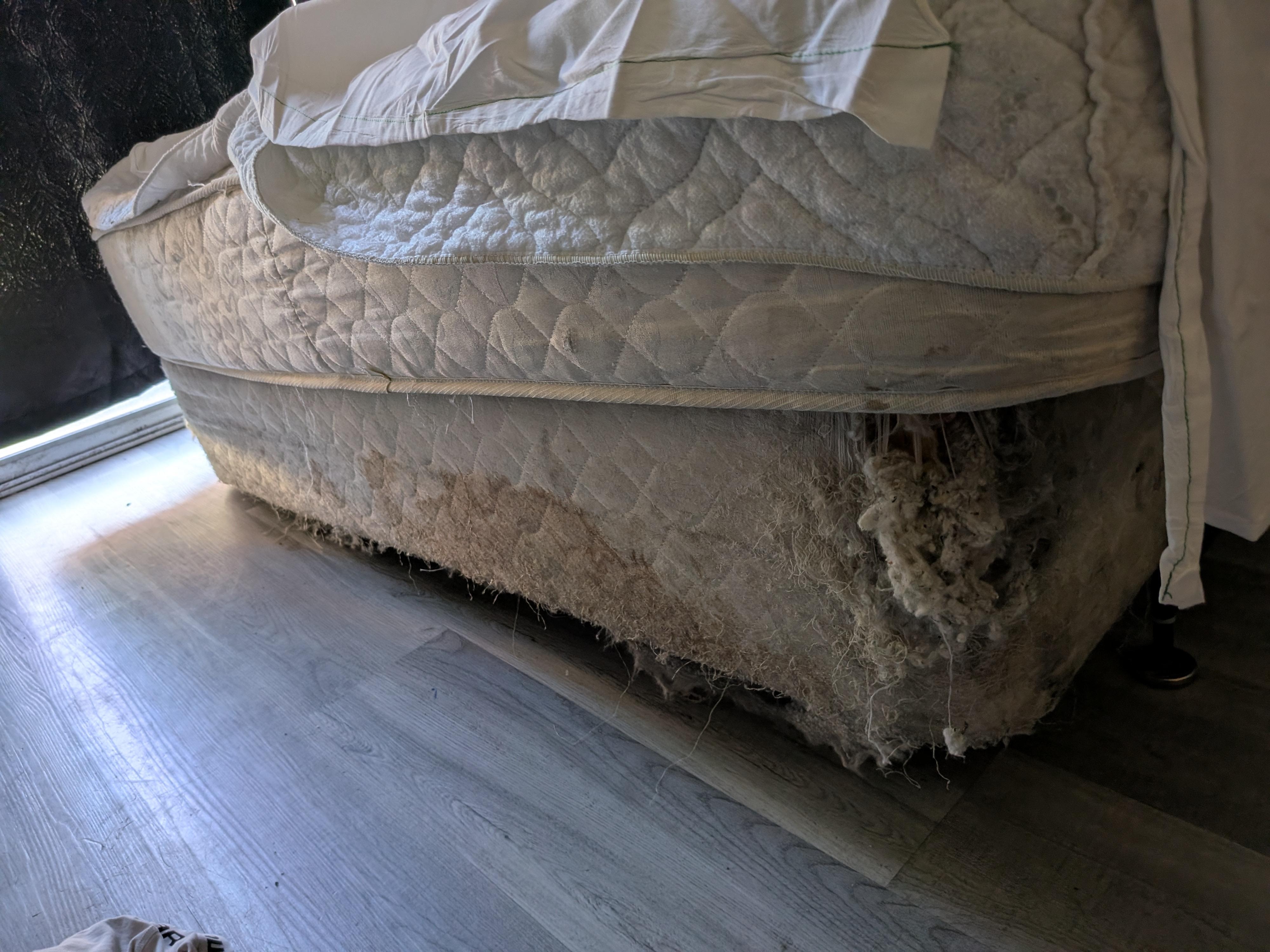 Bed was gross and broken. Several inches lower on one side so entire mattress was sloped.