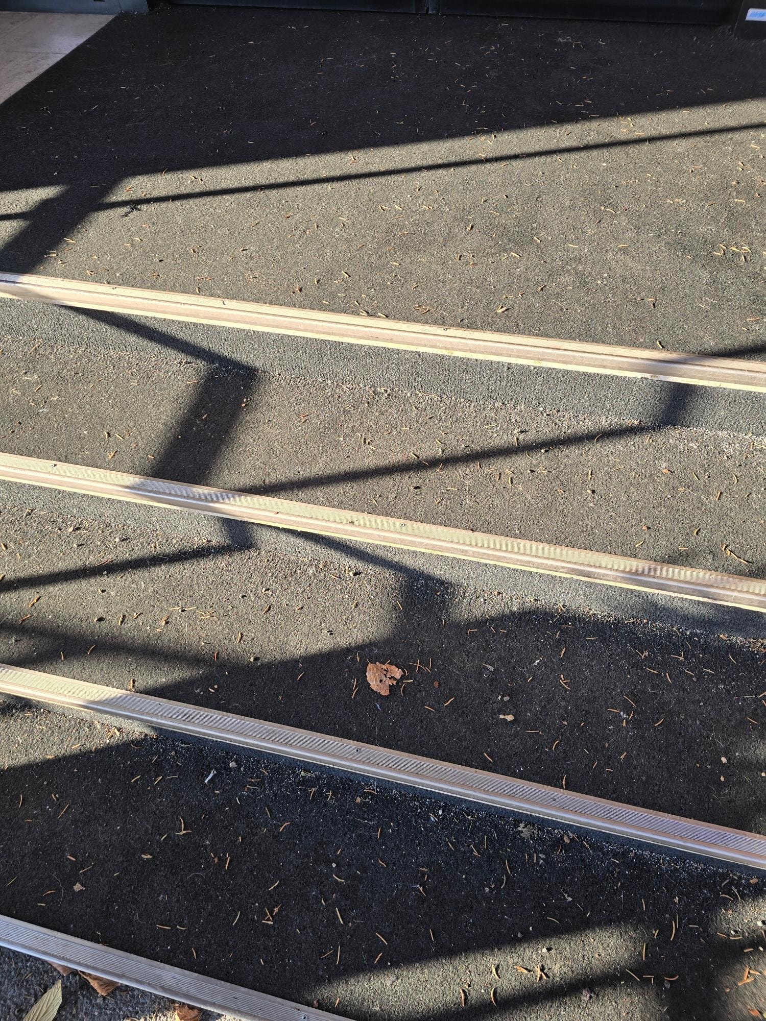 Tappeto d'entrata, MAI pulito nè aspirato in 3 giorni