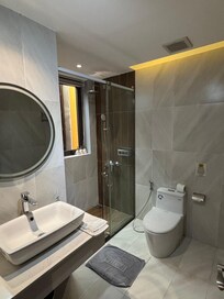 バスルーム
窓はあるが空気取りだけ