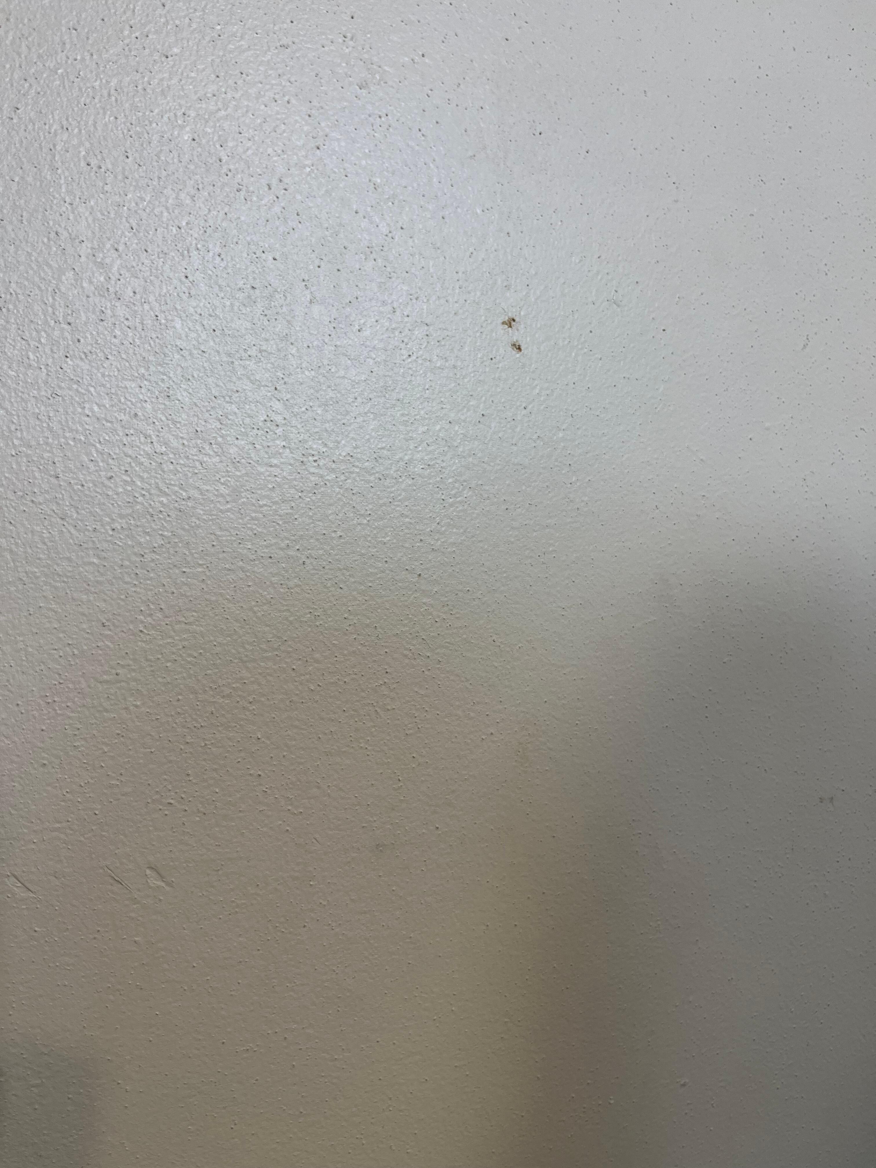 Another weird substance on wall.