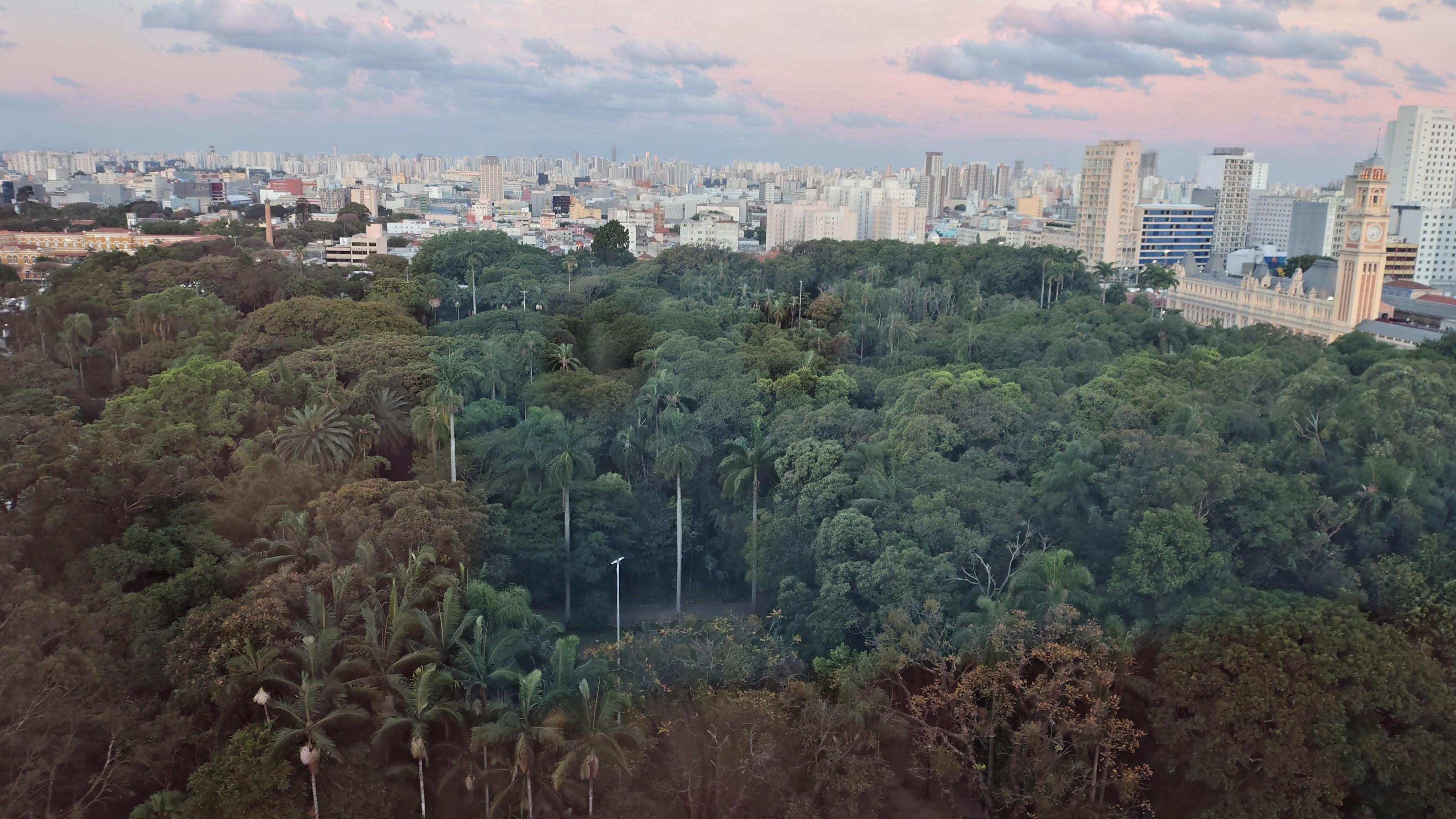 Da janela do hotel 