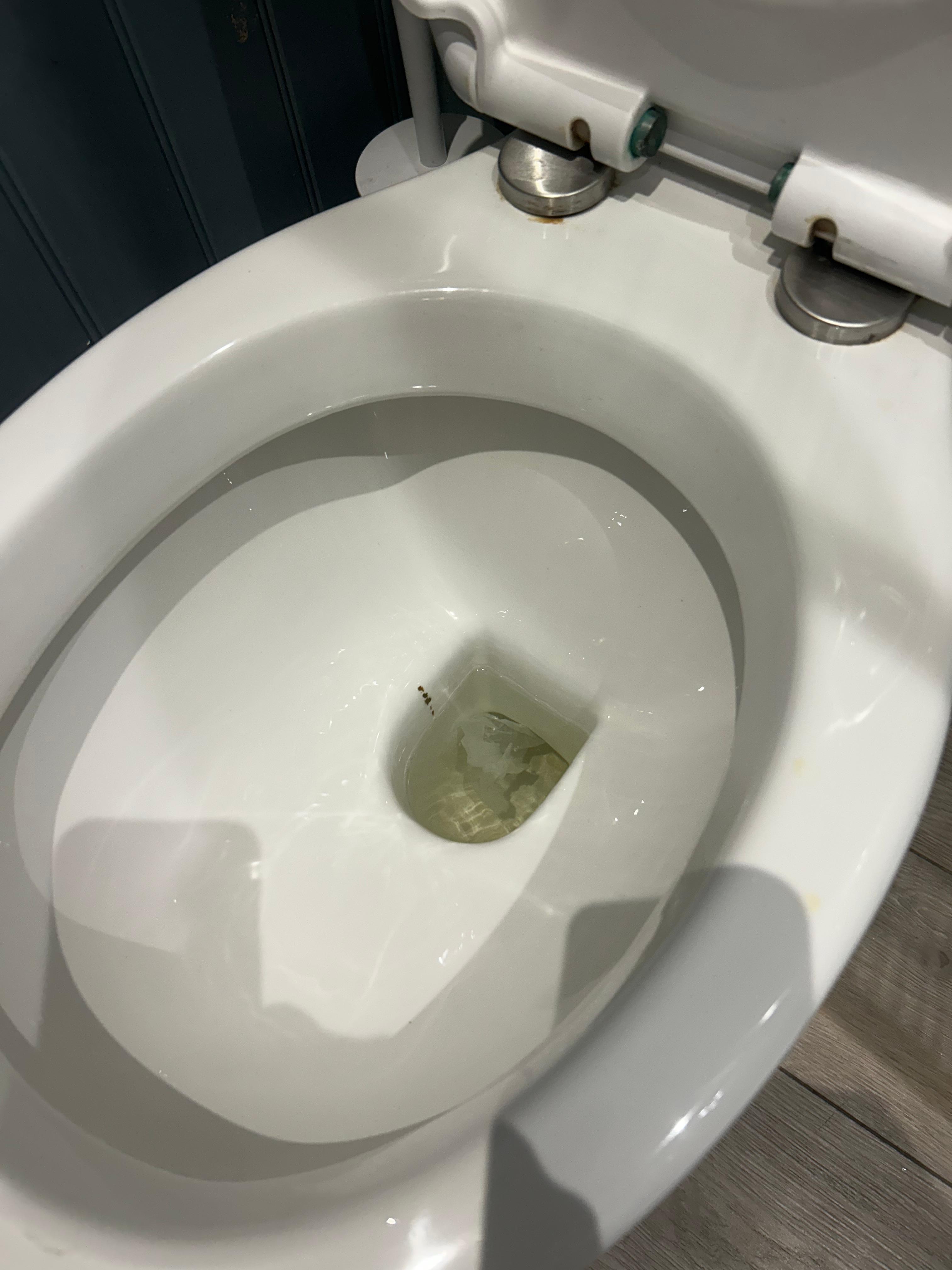 Skid marks down the toilet