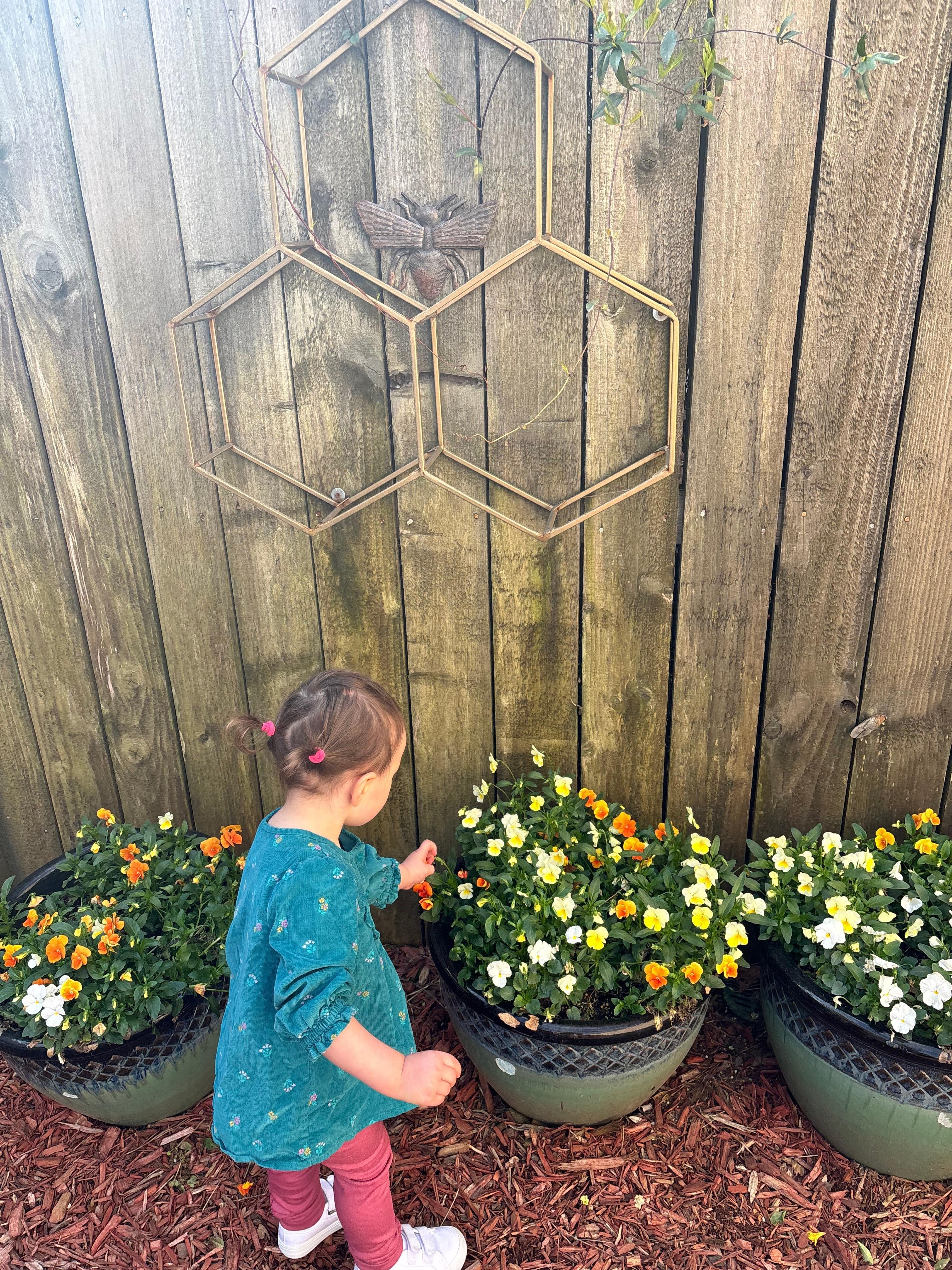 We loved the bee garden!