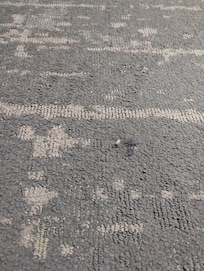 MORE dierty carpets