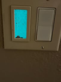 Mold and dirt in light switch whole light switch if filthy dirty, the screw are black.