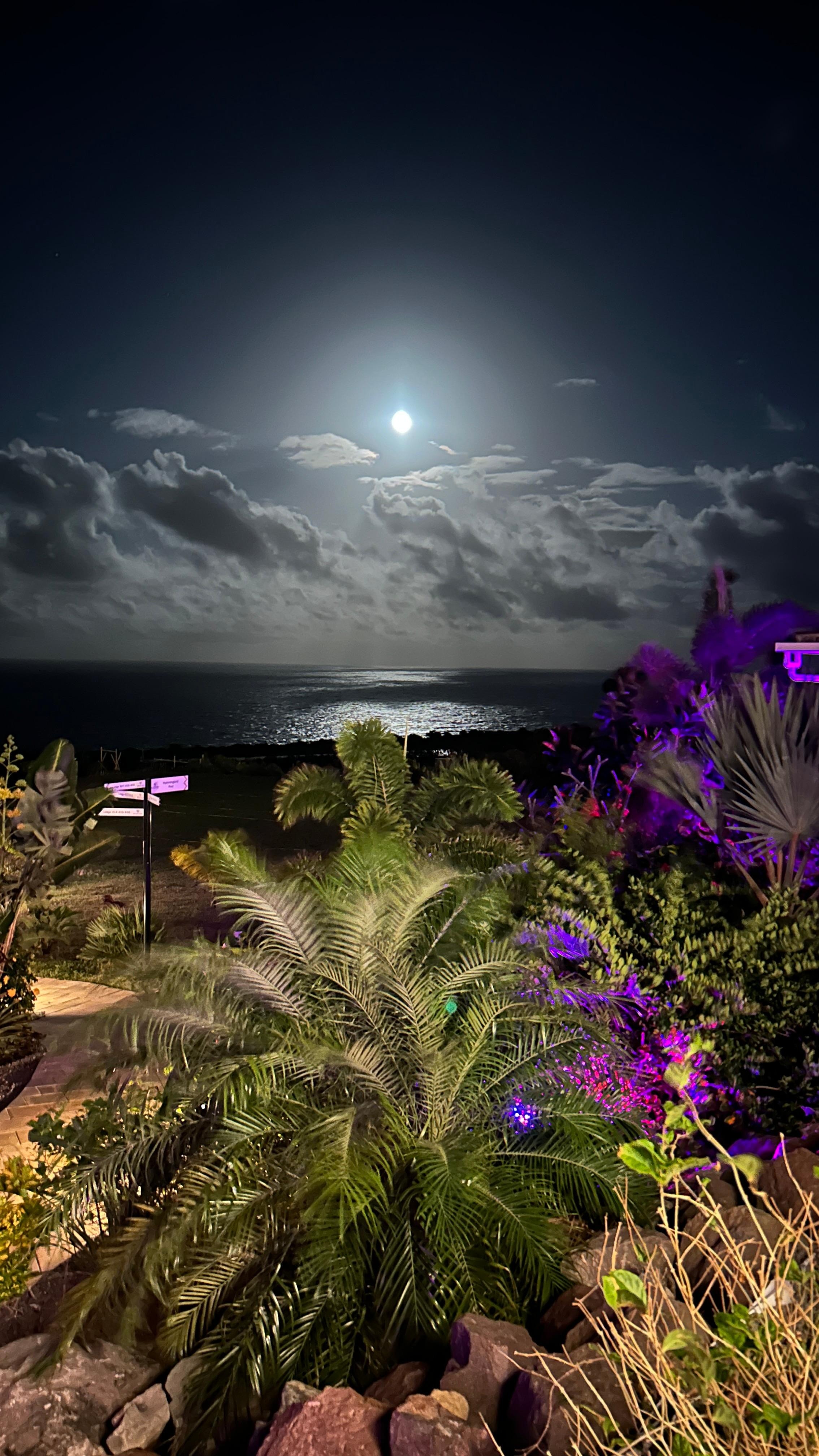 Night view from our cottage