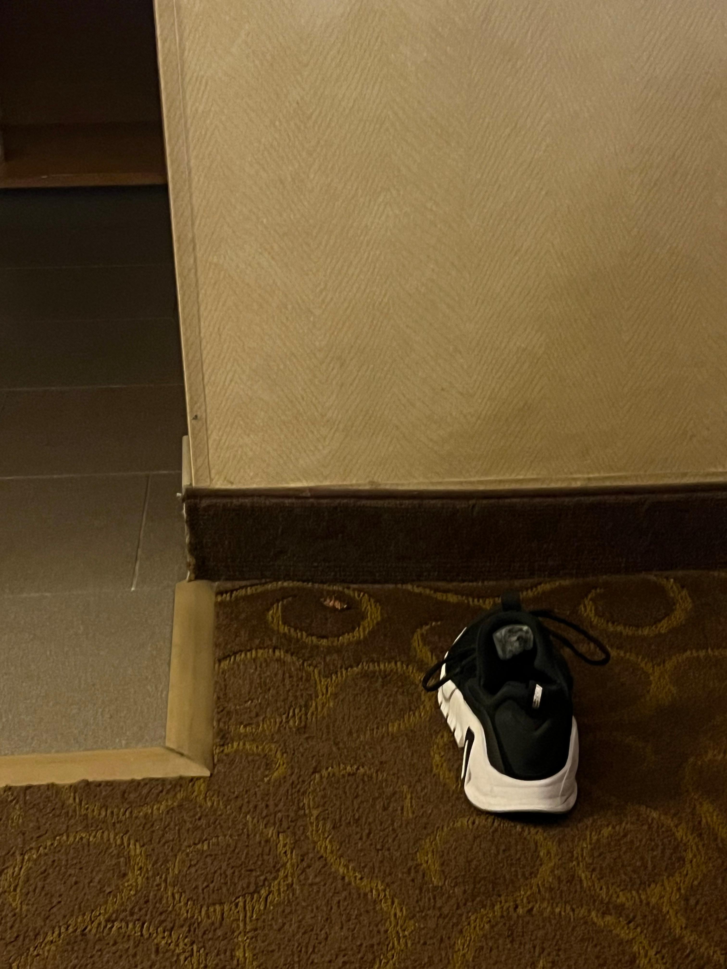 Killed the c-roach with my shoe 