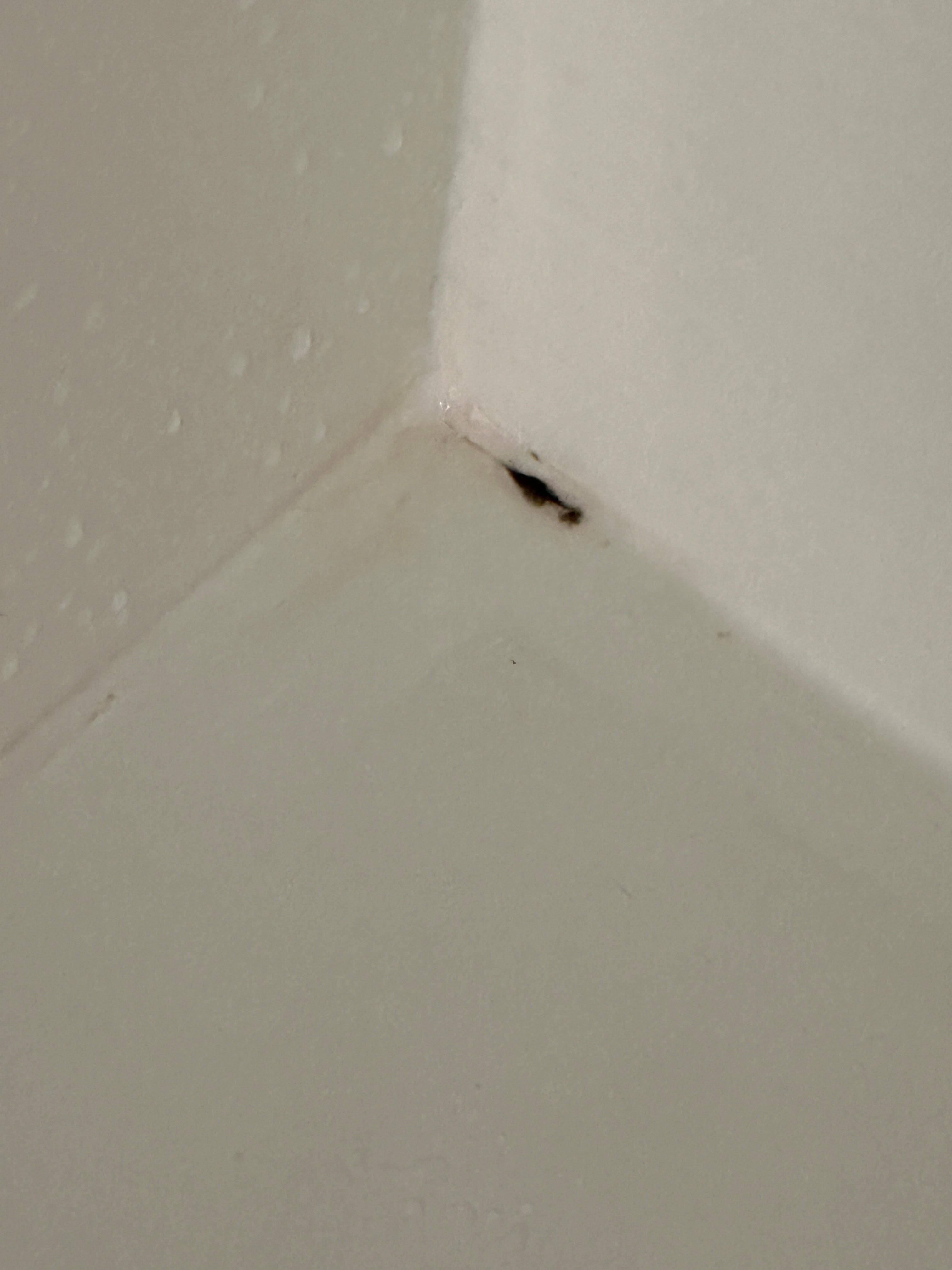 Mold