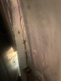 Broken door frame and a little cockroach