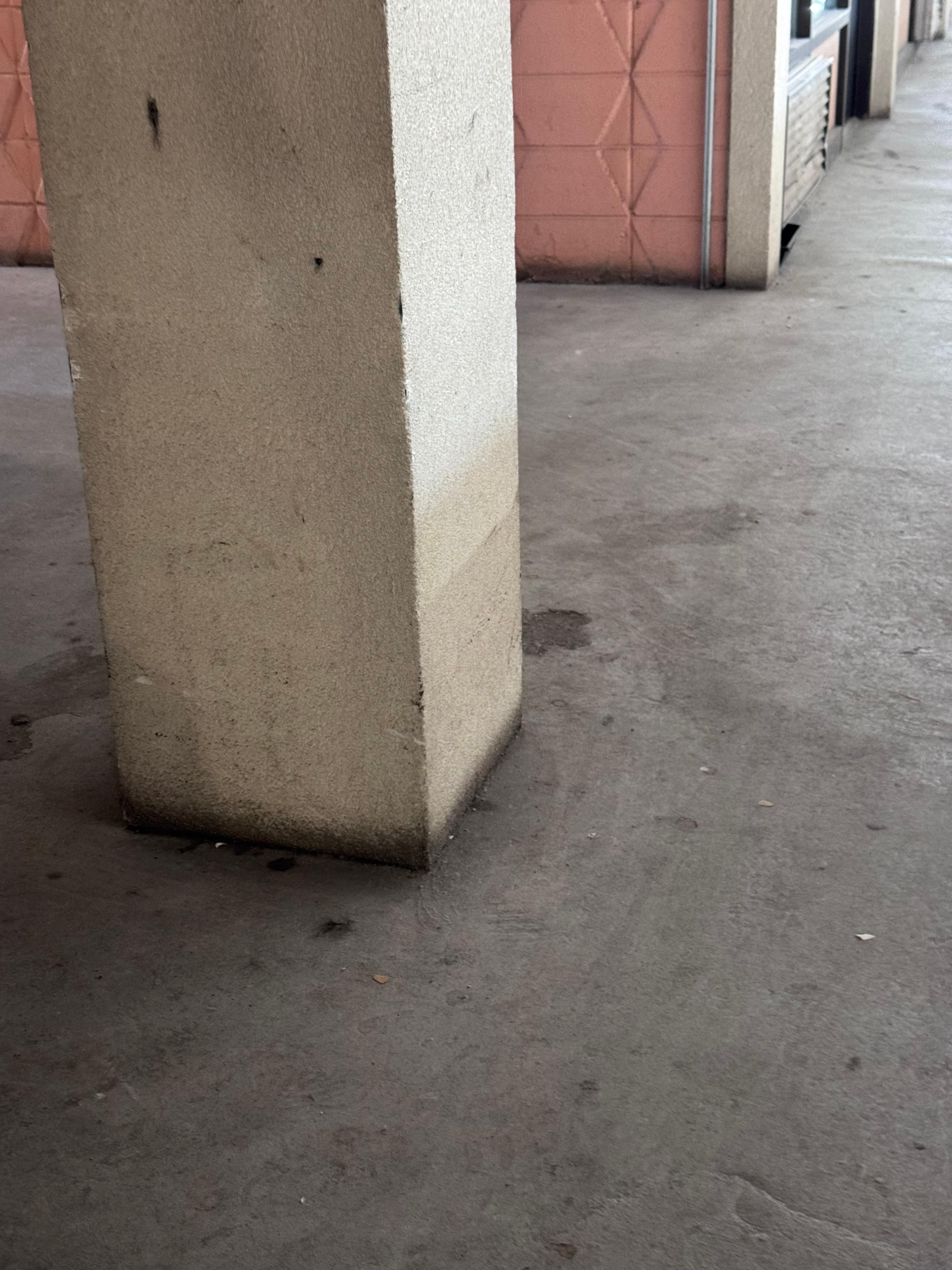 This is what you have to walk through to get to your room