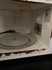 Rusted out microwave with dead roach šŖ³