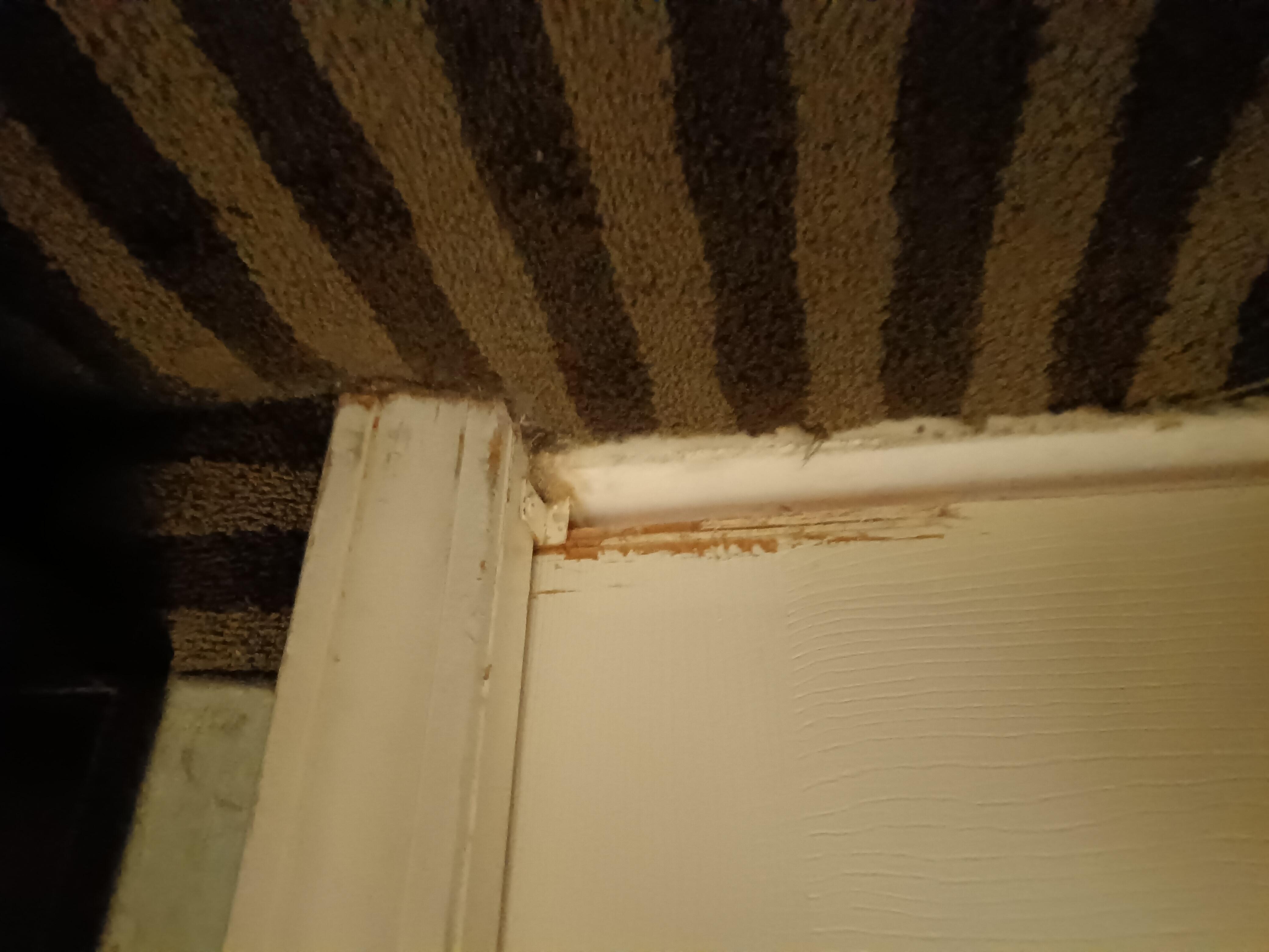 Wall