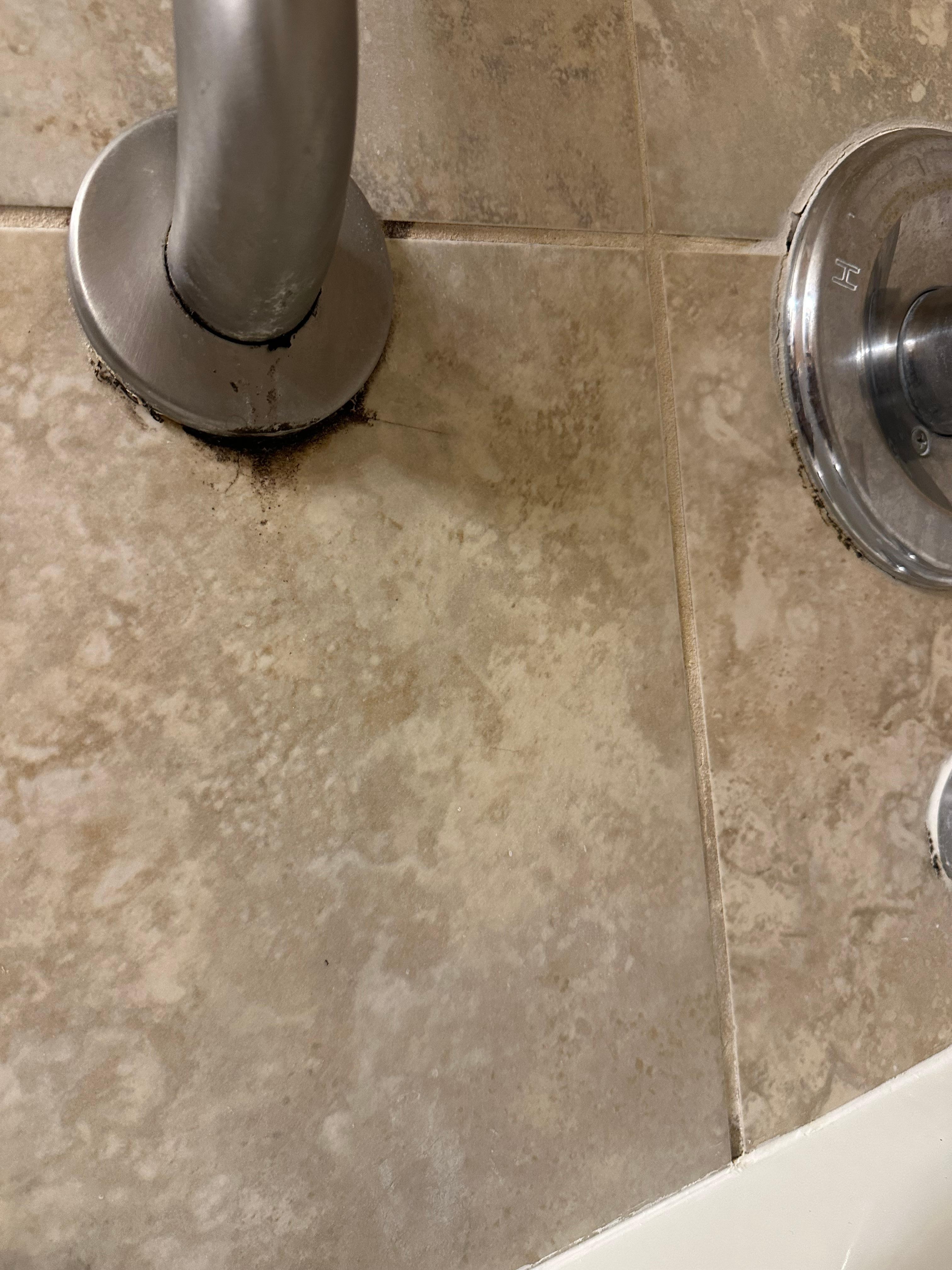 Bath needs cleaning of mold