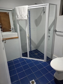 Small shower, not for the overweight.