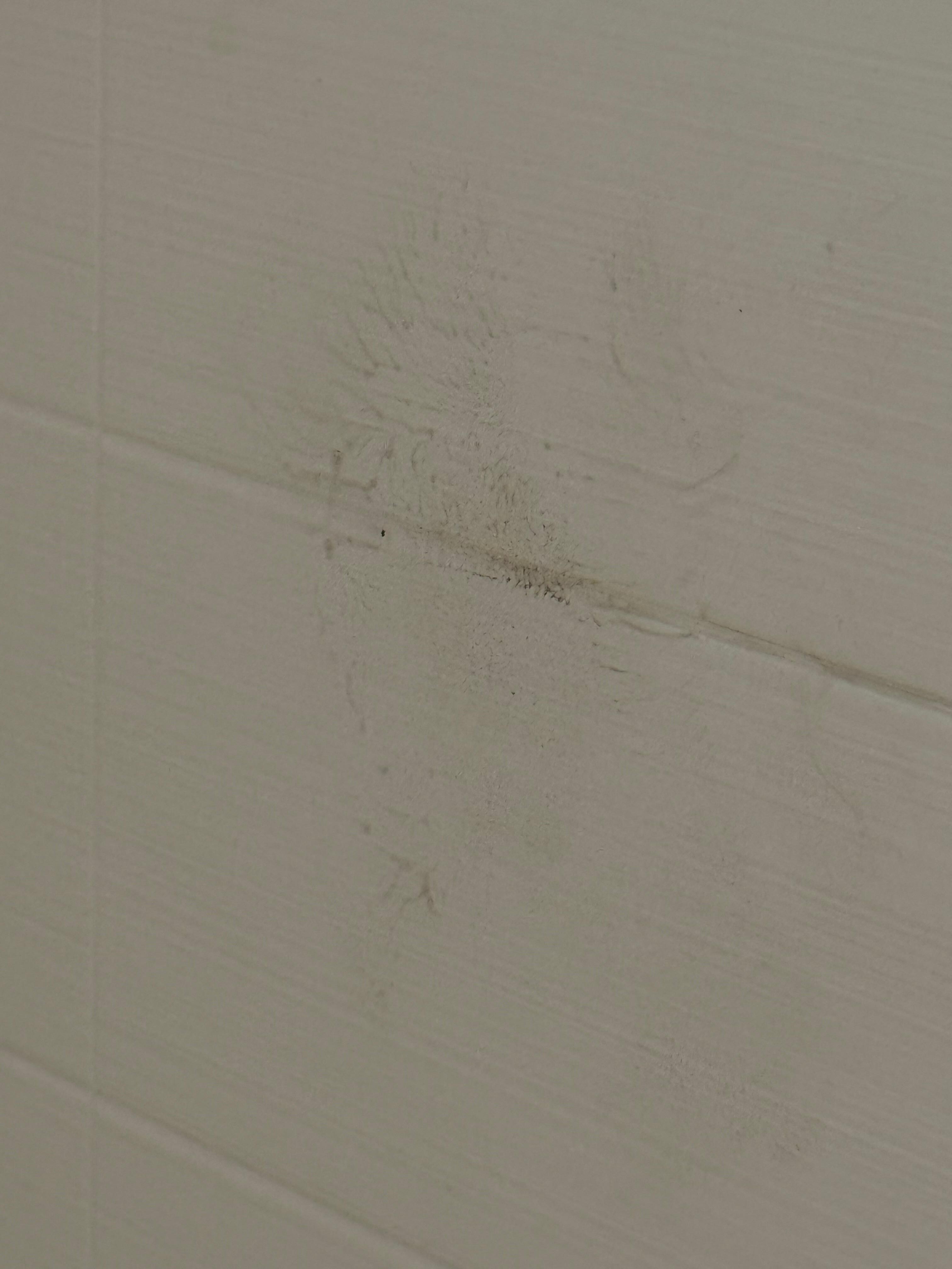 Dirty bathroom shower 