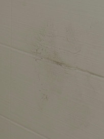 Dirty bathroom shower