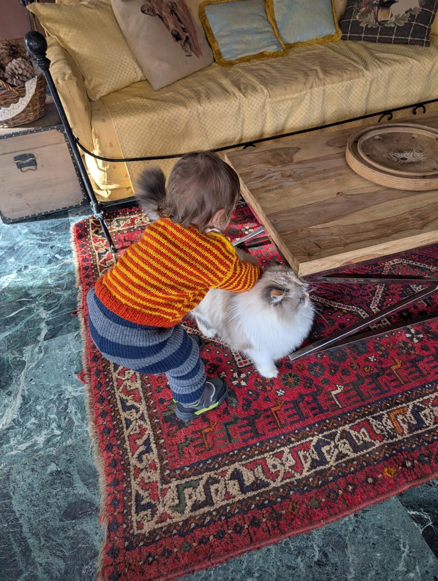 My daughter playing with the host's cat 