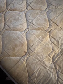 Mattress stains and no mattress cover