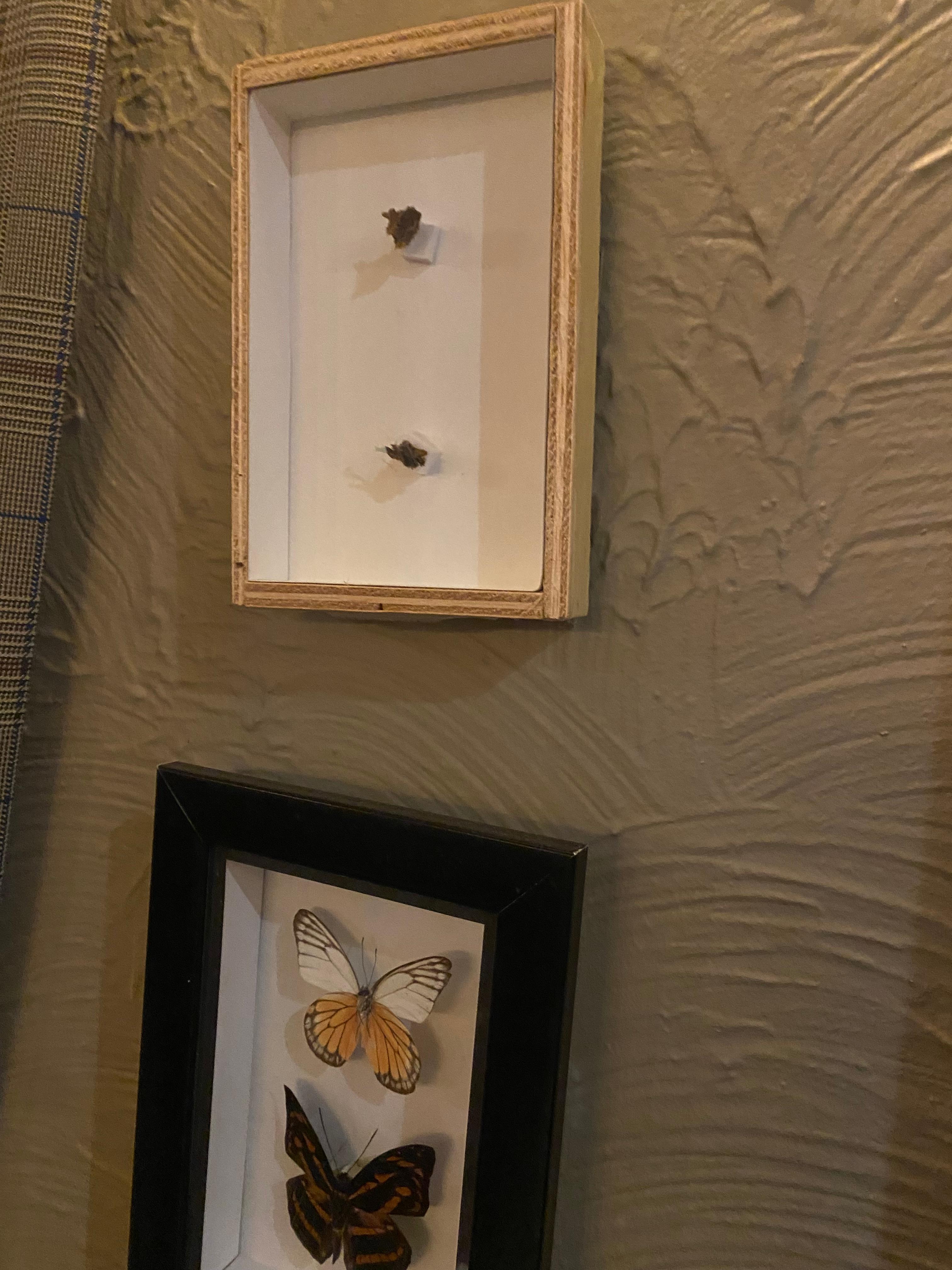 Not sure what the top picture used to house but it disintegrated at some point 