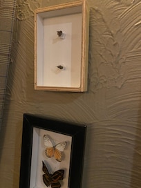 Not sure what the top picture used to house but it disintegrated at some point