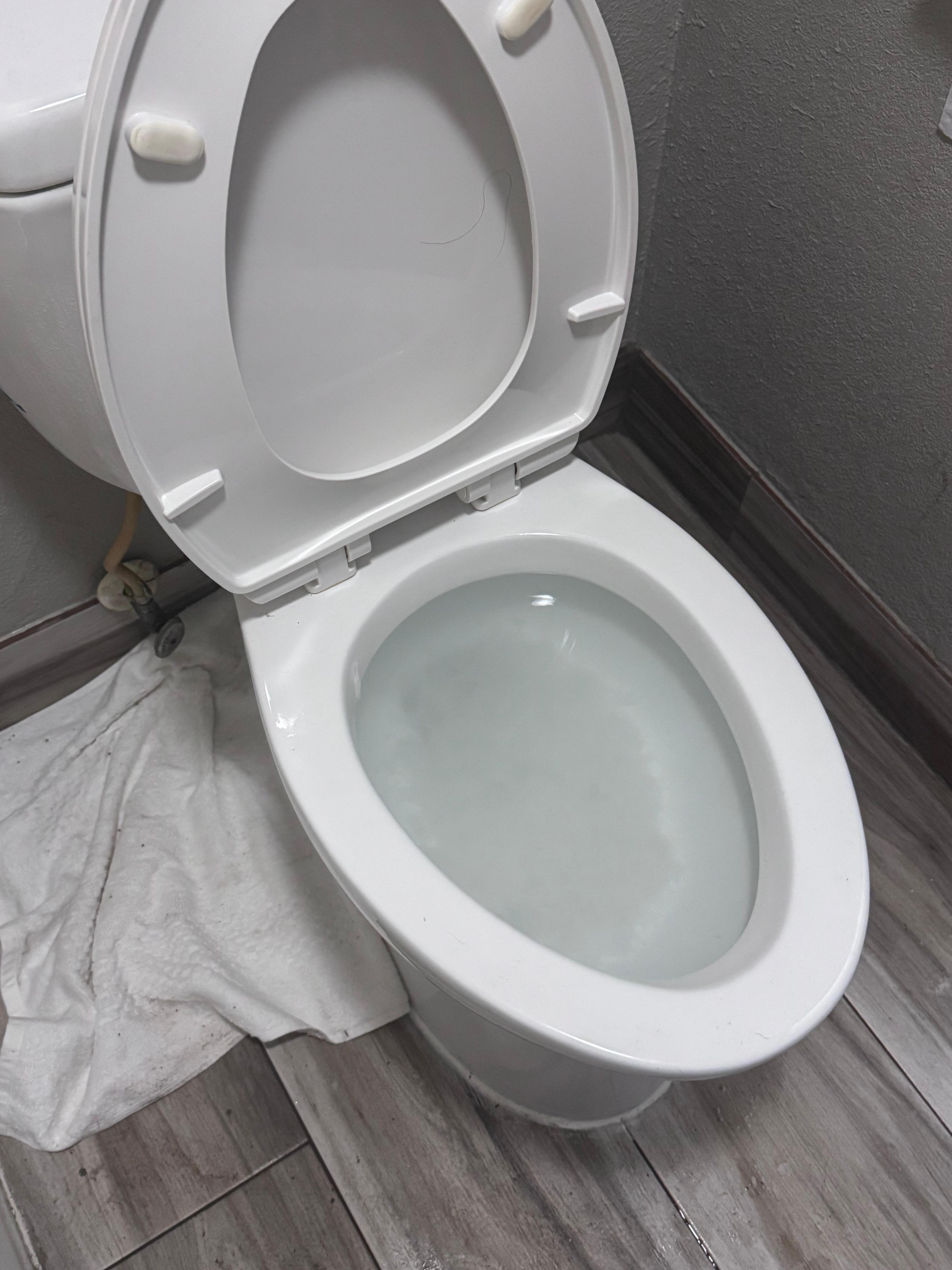 Clogged and leaky toilet (before the overflow disaster)