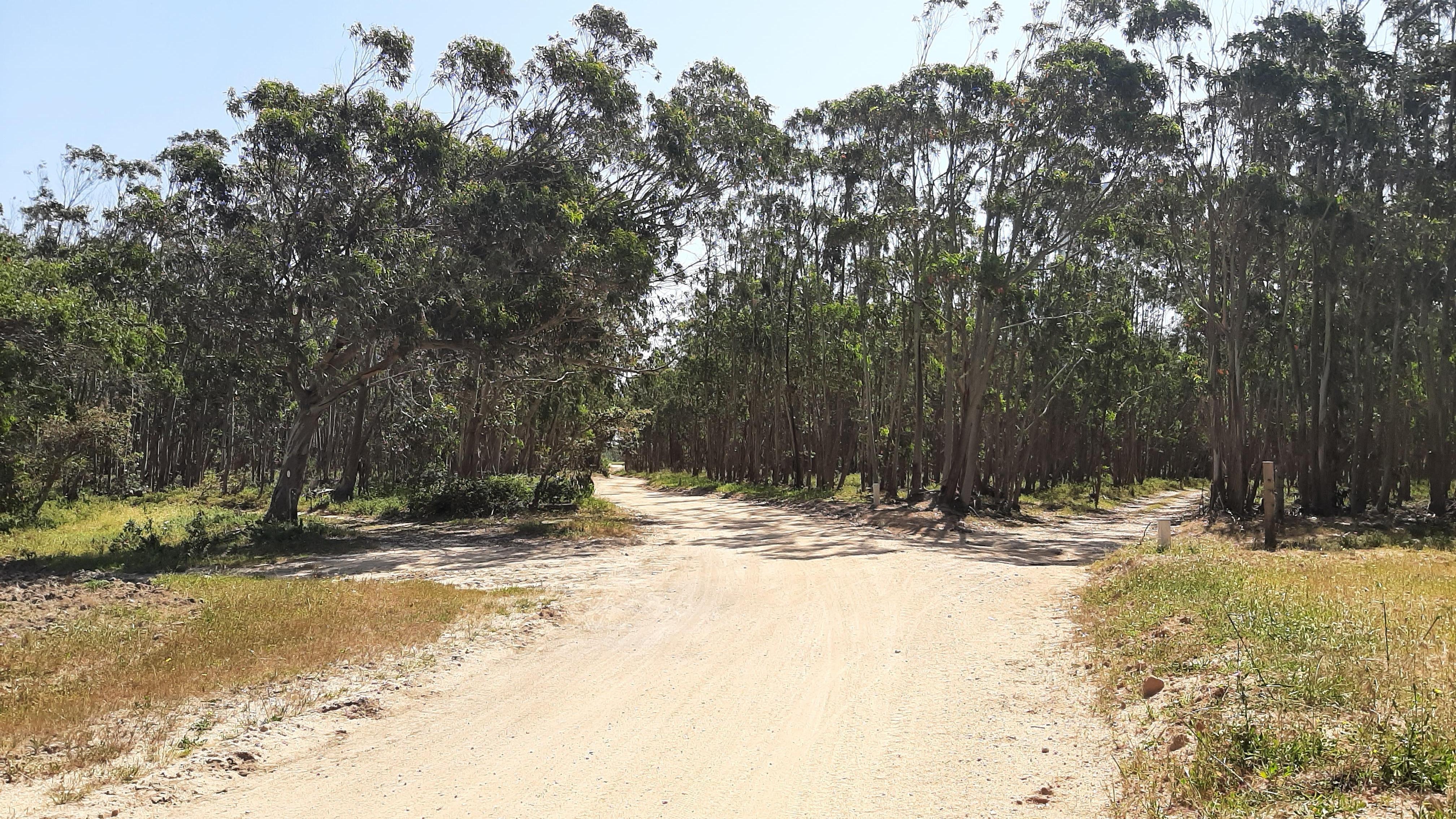 Zona a volta da aldeia