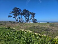 Behind the hotels walking to Pudding Creek Beach