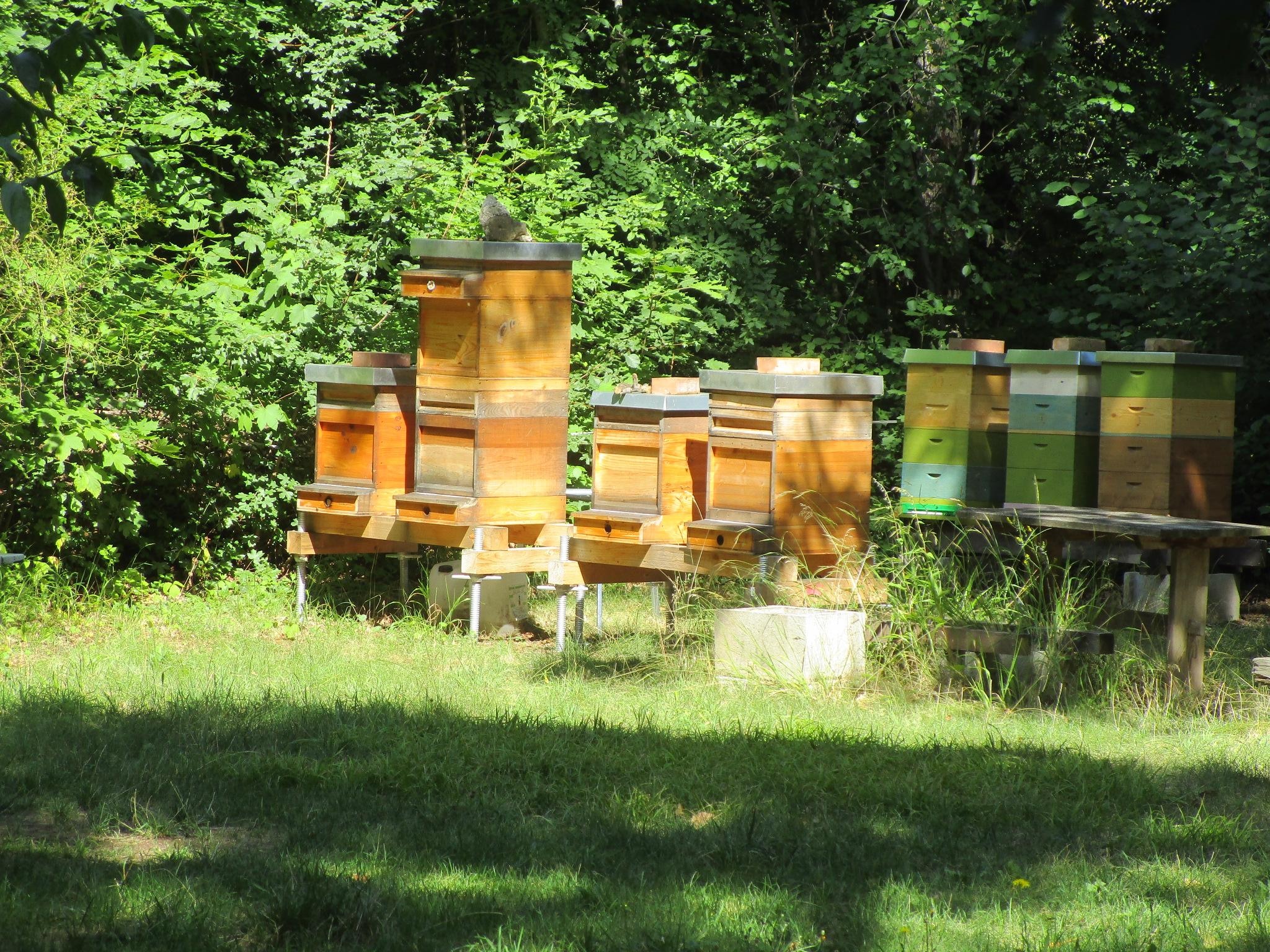En trevlig och välskött biodling intill hotellet