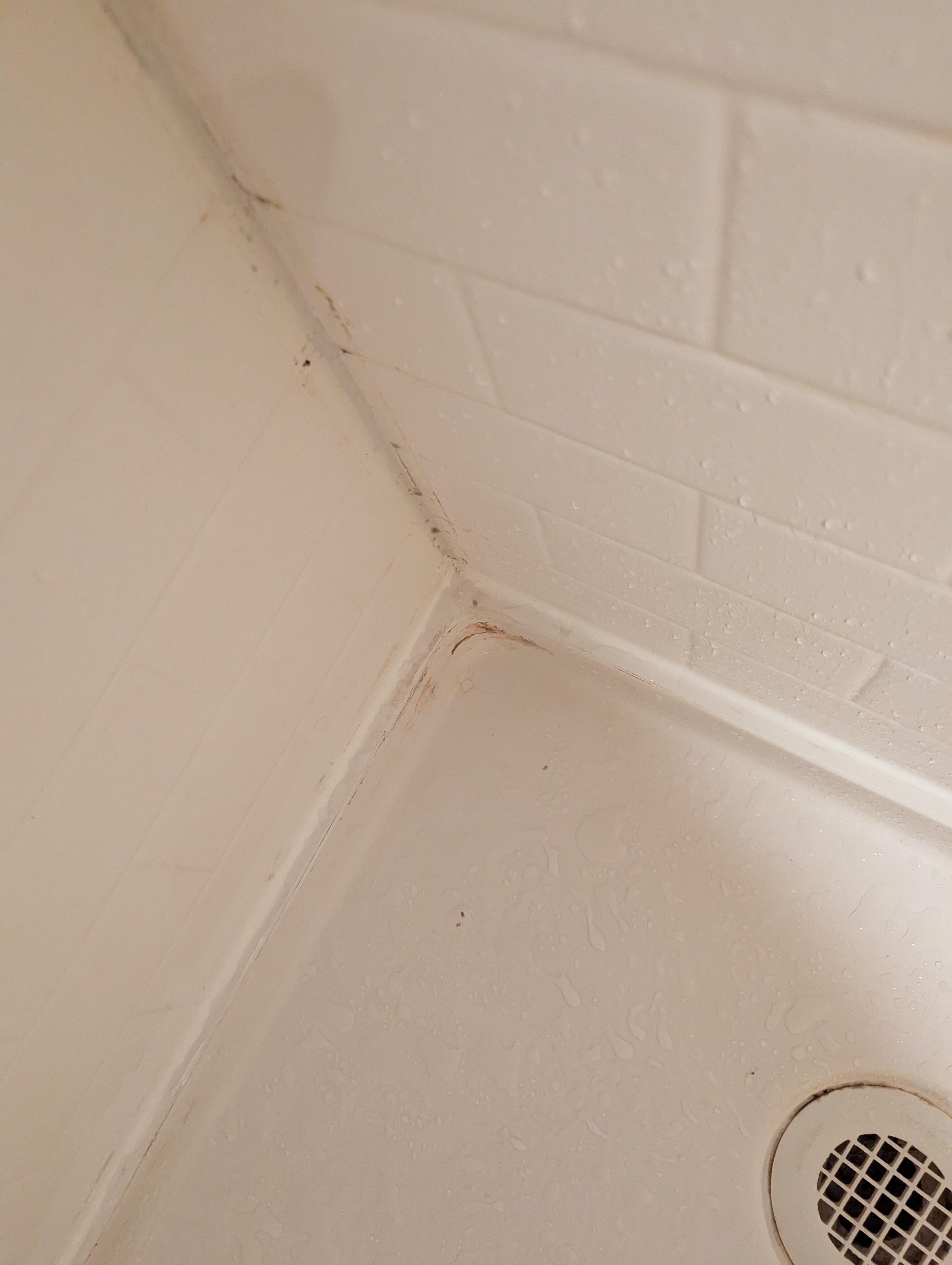 Corner of stall