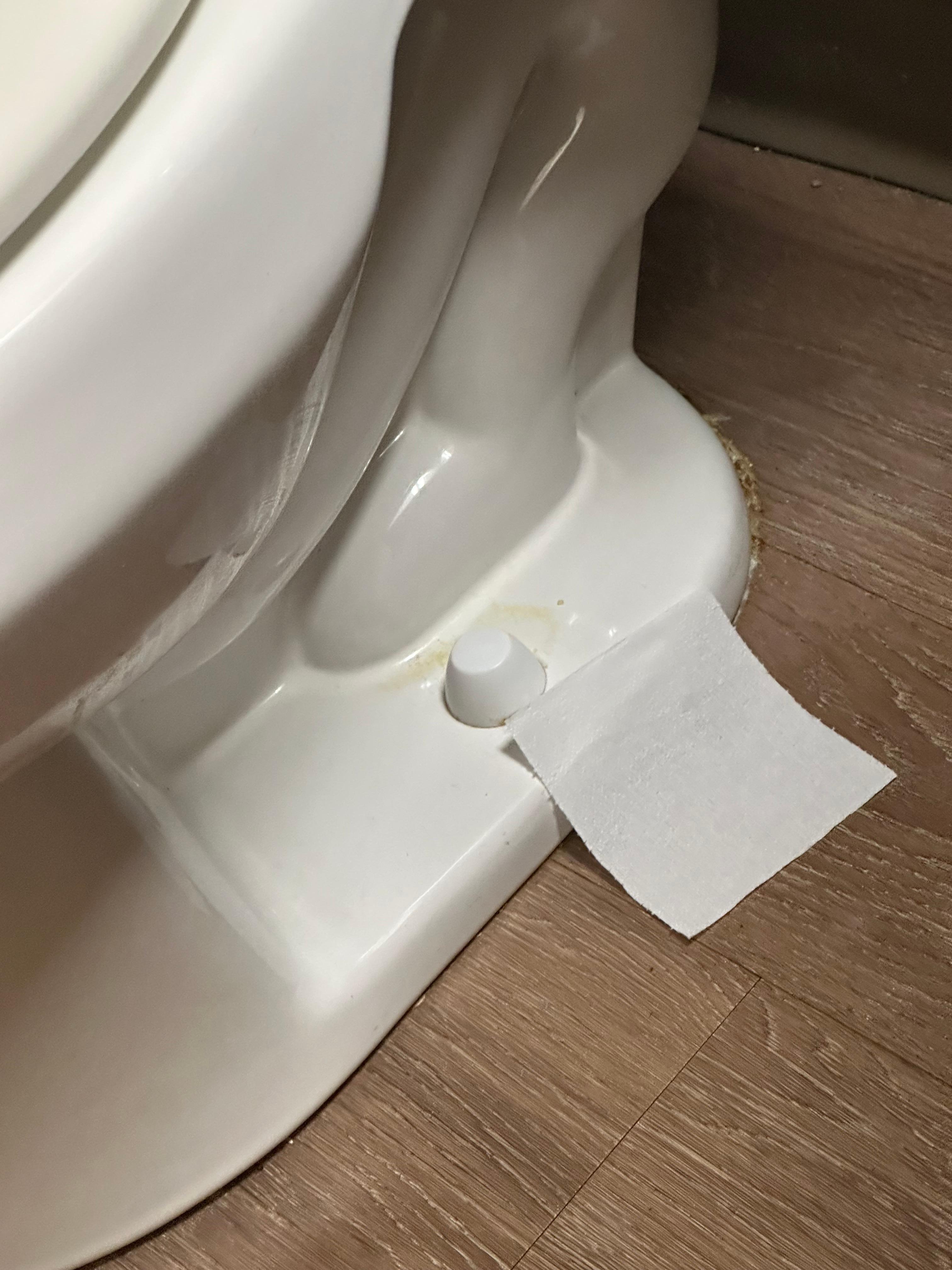 Urine on the toilet and floor 
