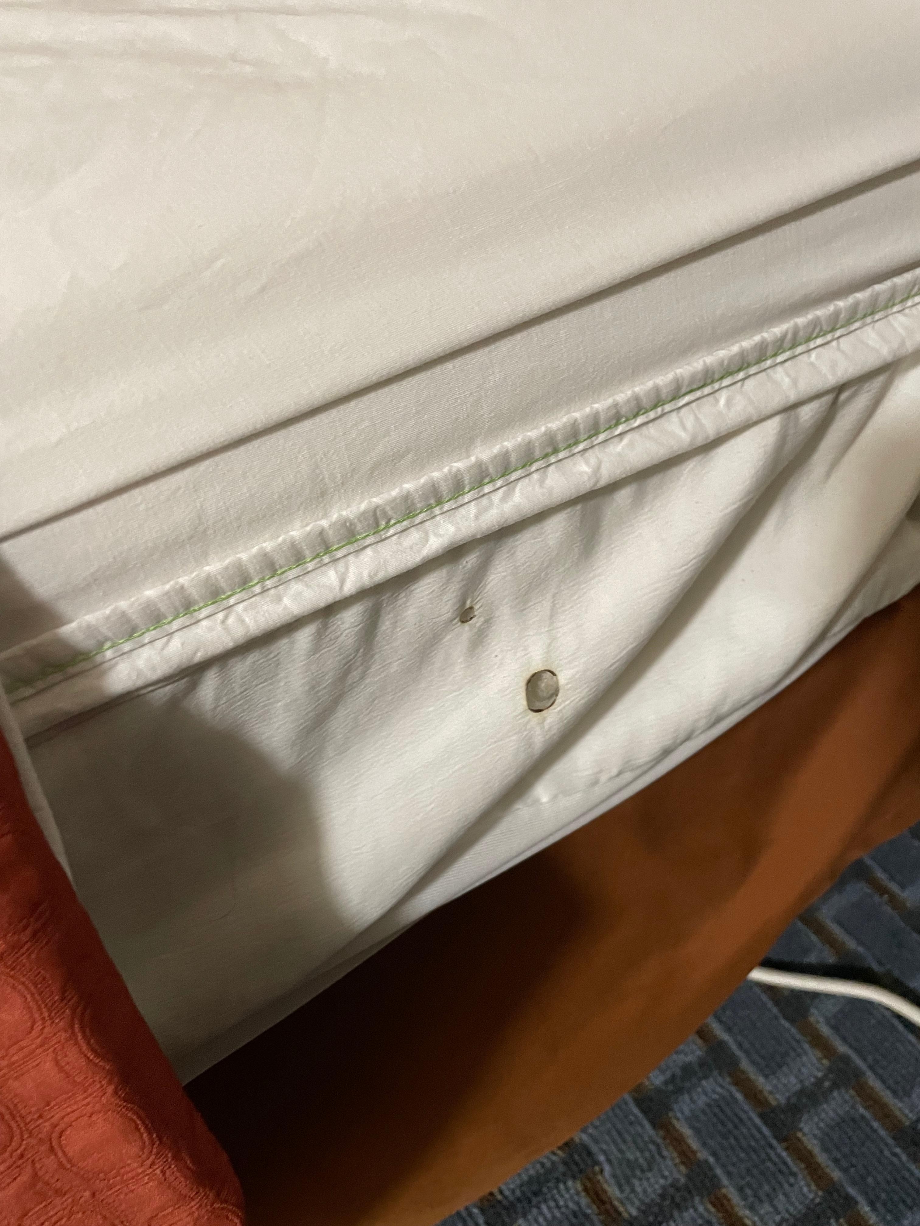 Cigarette butt holes in the sheets. There were more in the blankets. 