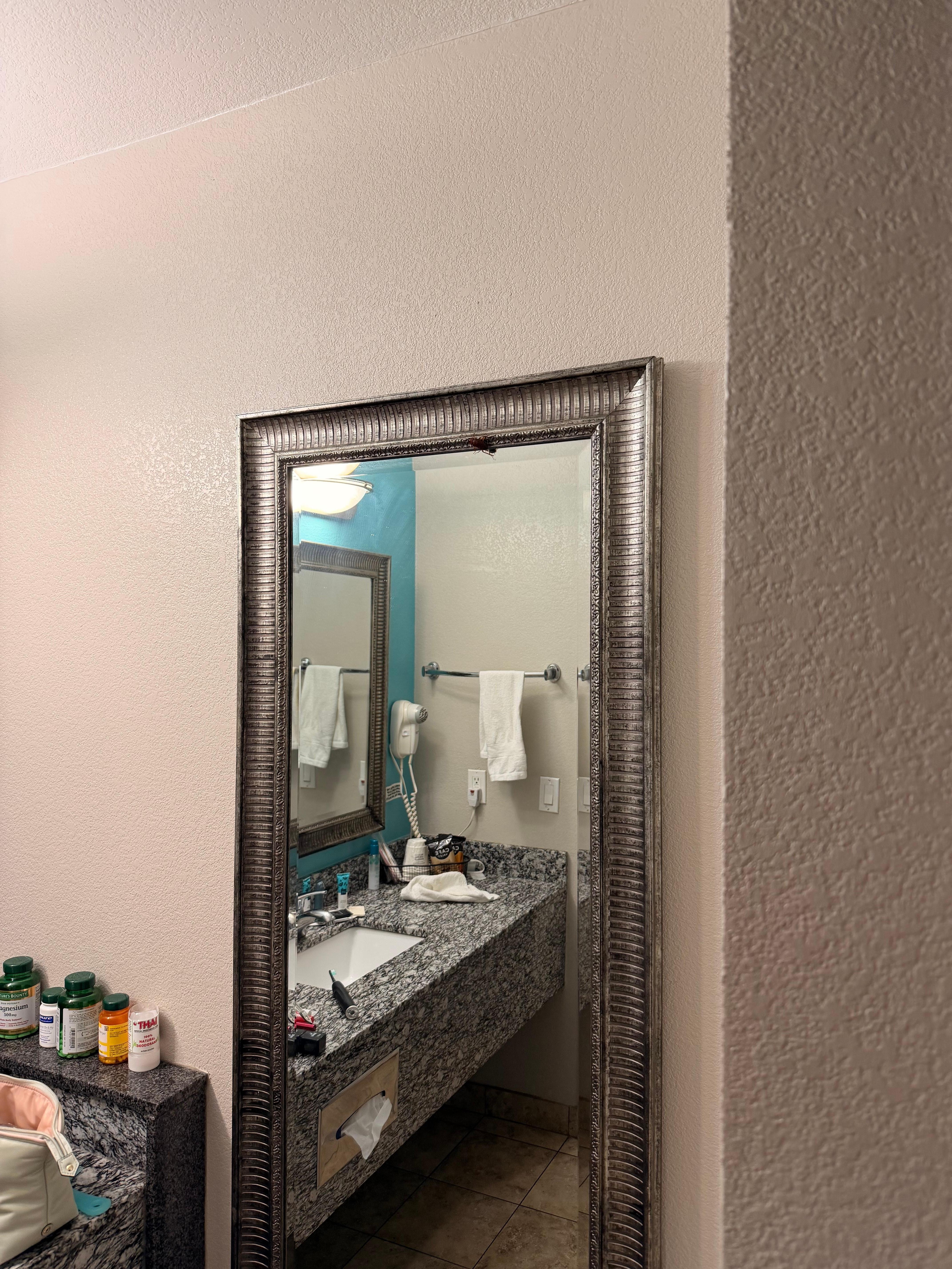 Huge roach on top of mirror.