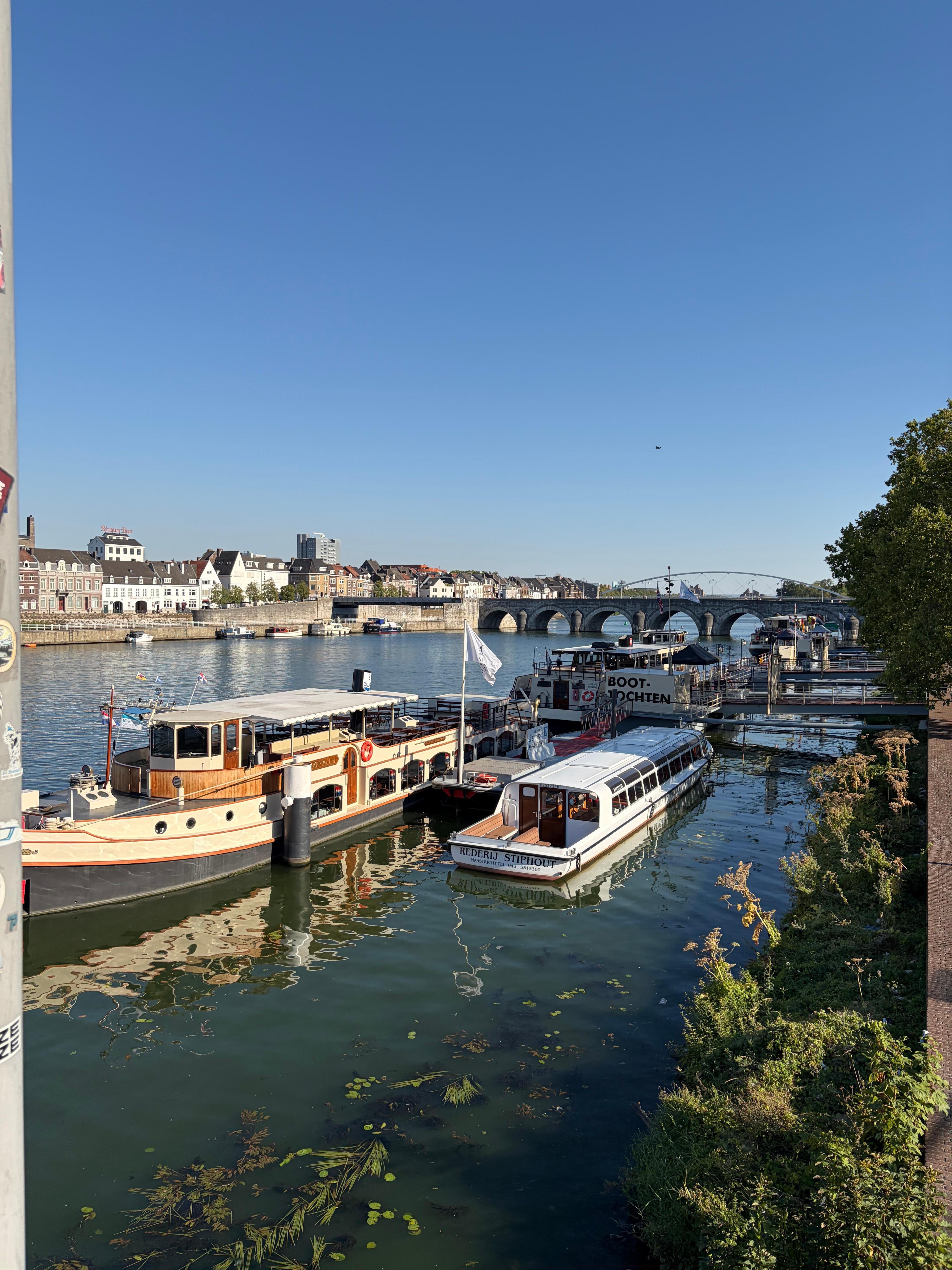 The Maas river