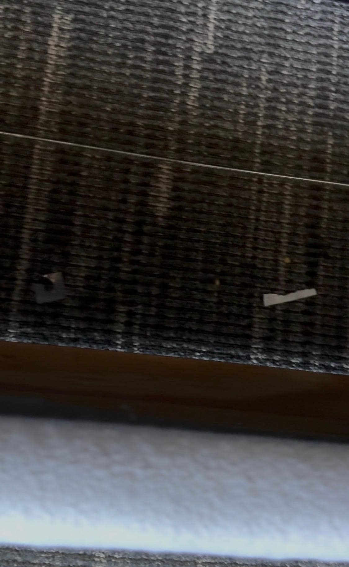 Dog hair on and under fold out couch 