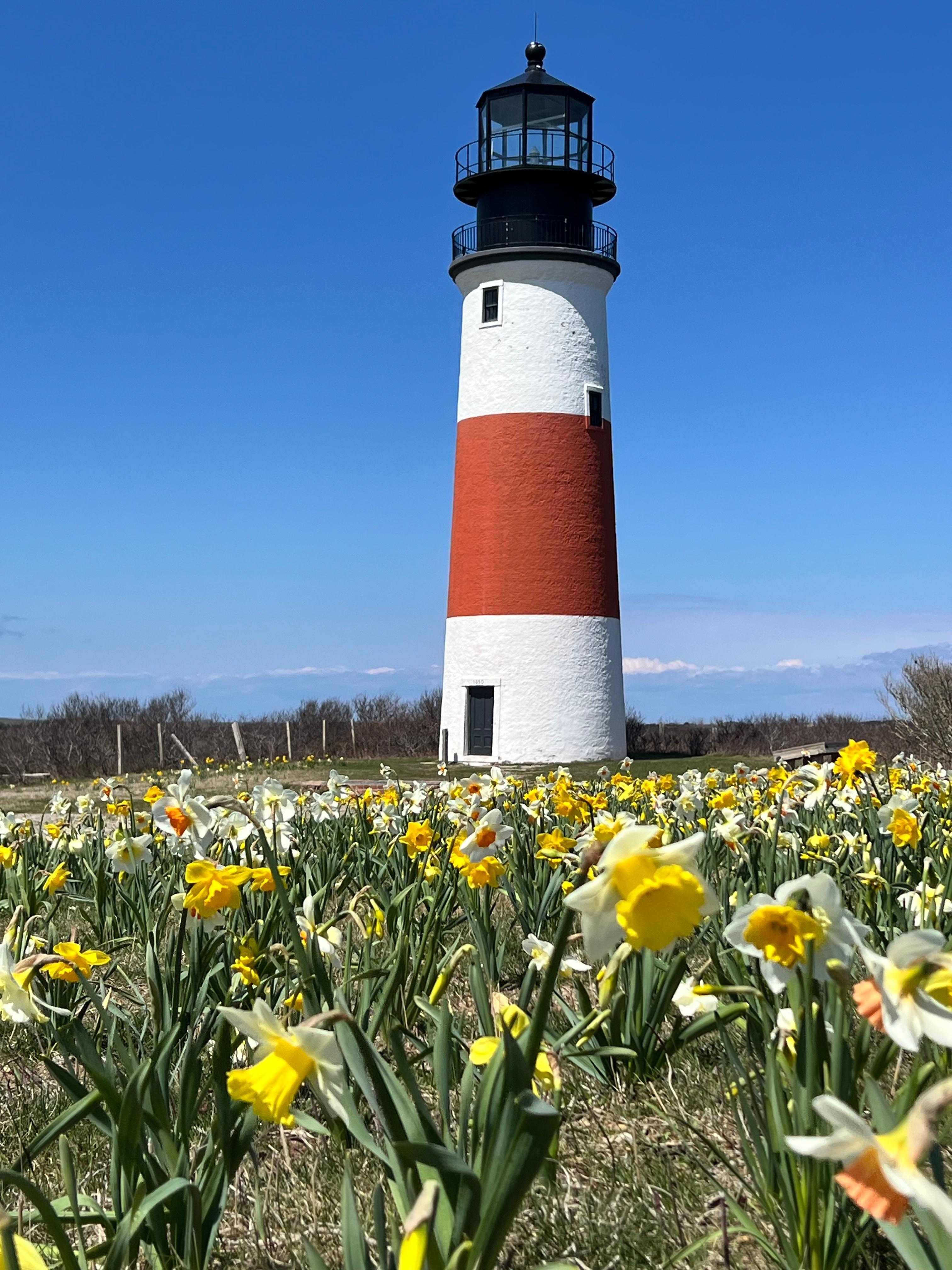 Sankaty Head Light