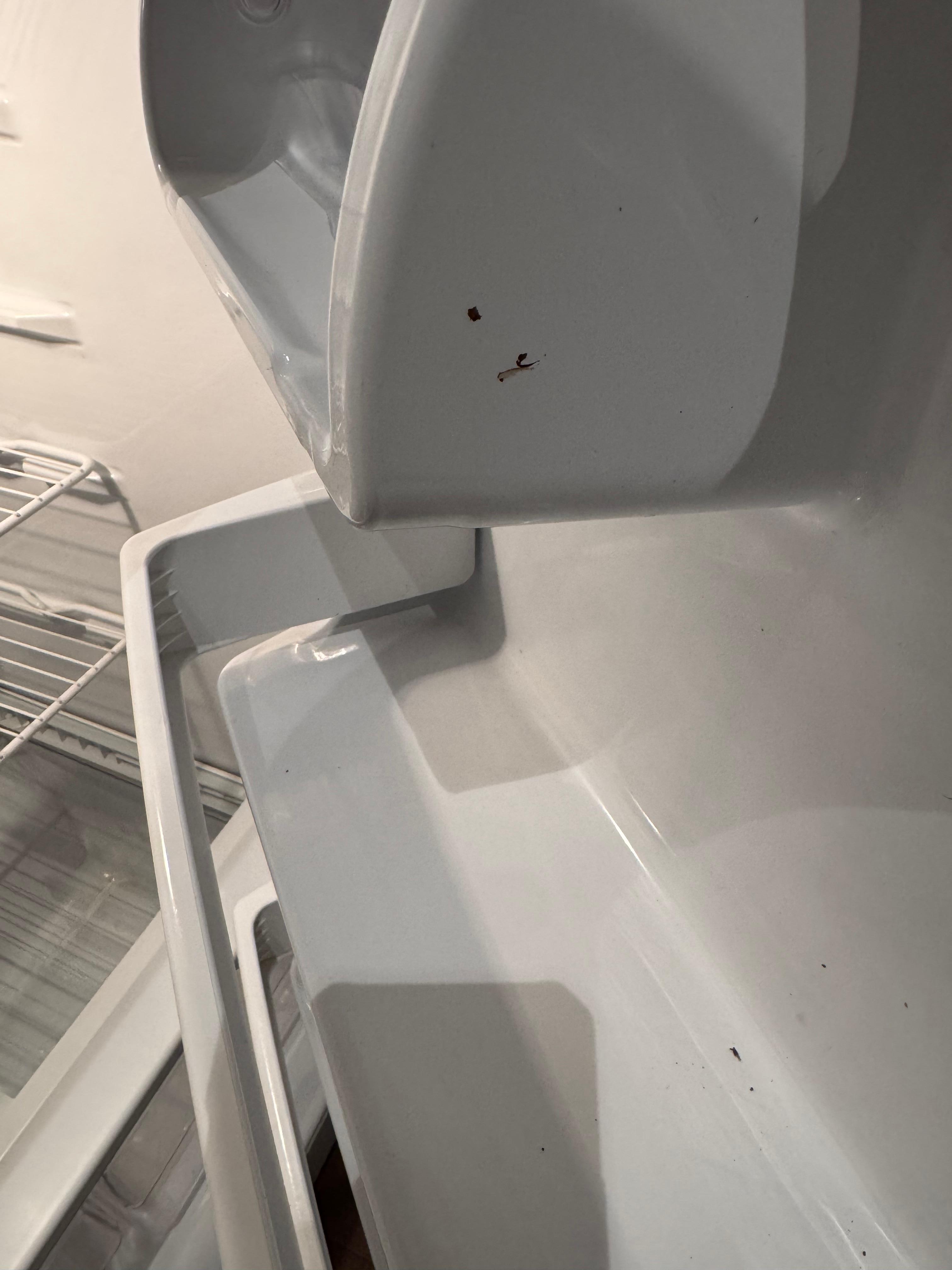 This picture, a dead roach in the refrigerator
