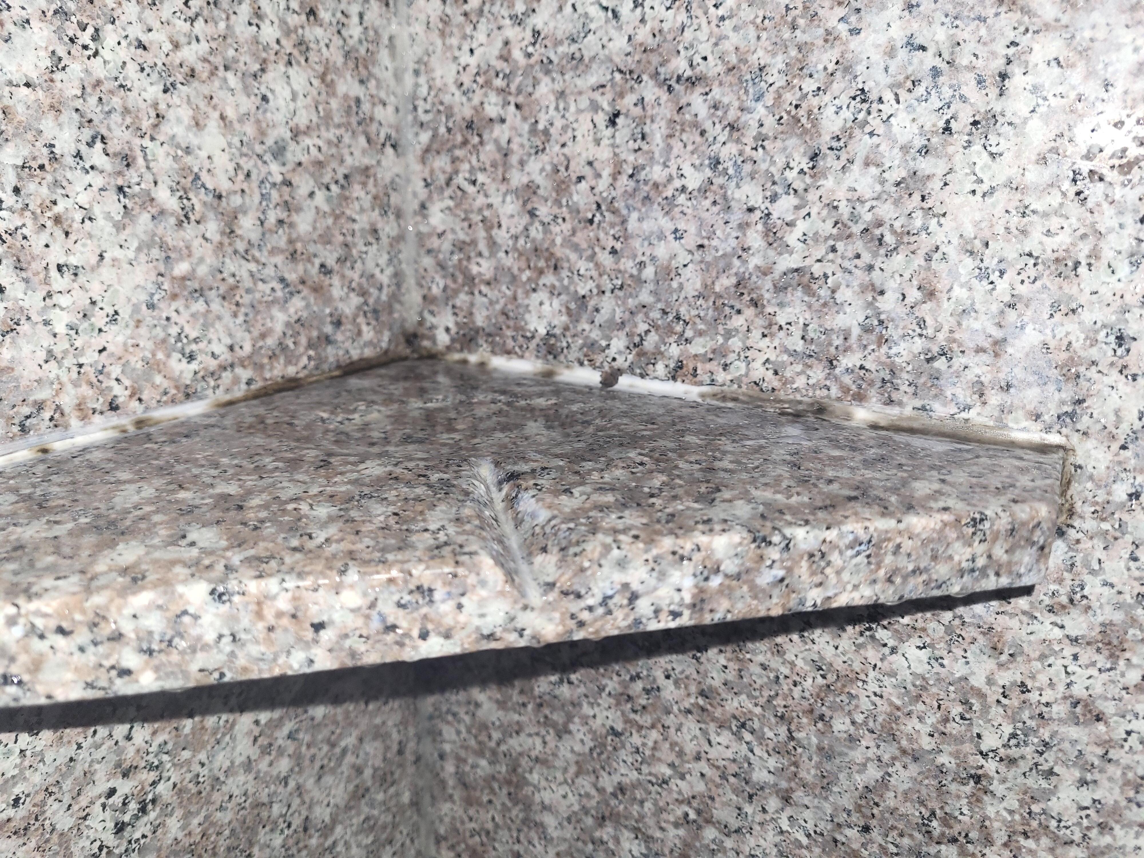 Mold/mildew in shower.