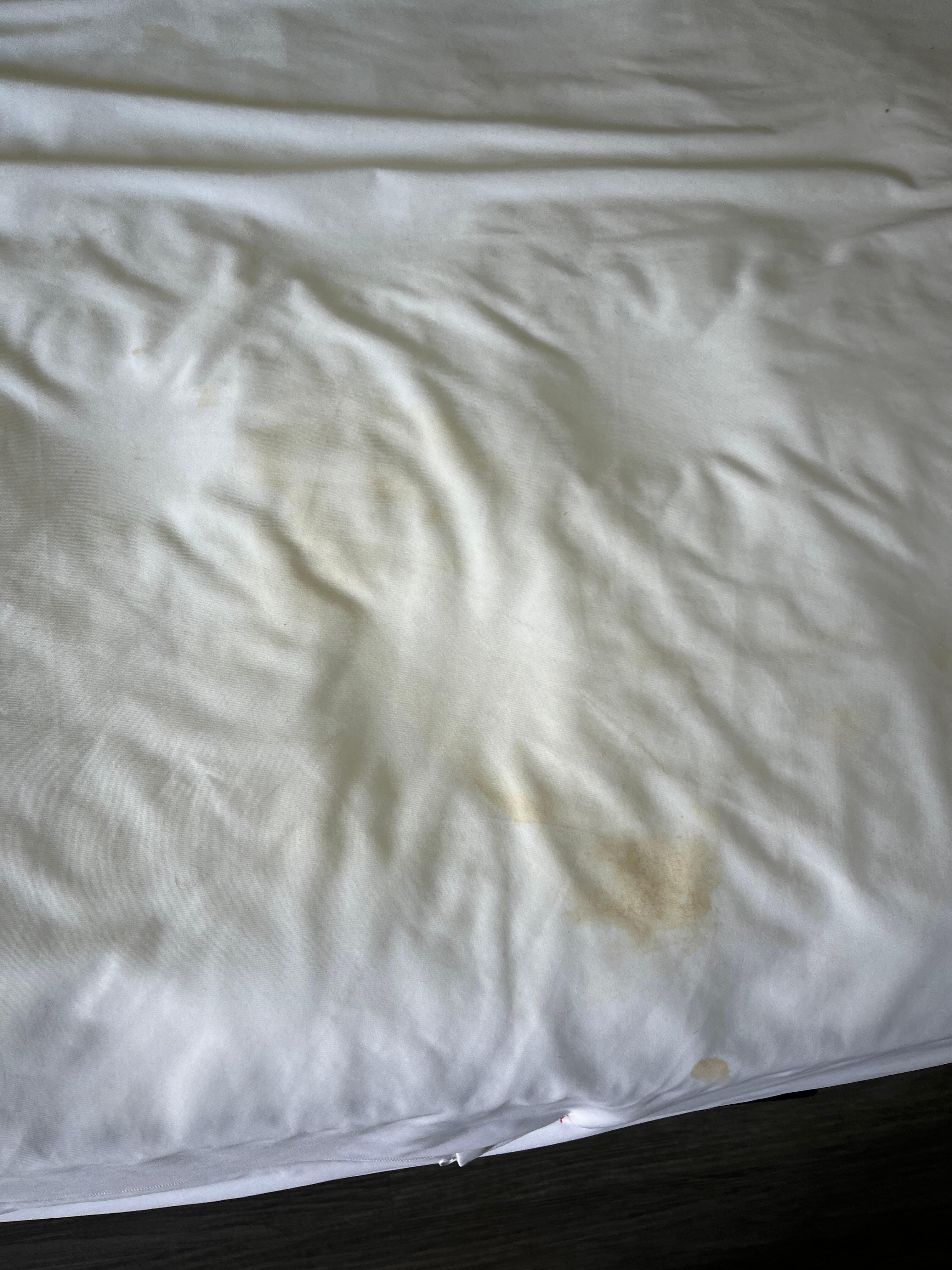Dirty and stained sheets. Yellow color. Disgusting that we slept on this and didn’t know until morning since it was at the foot of the bed. 