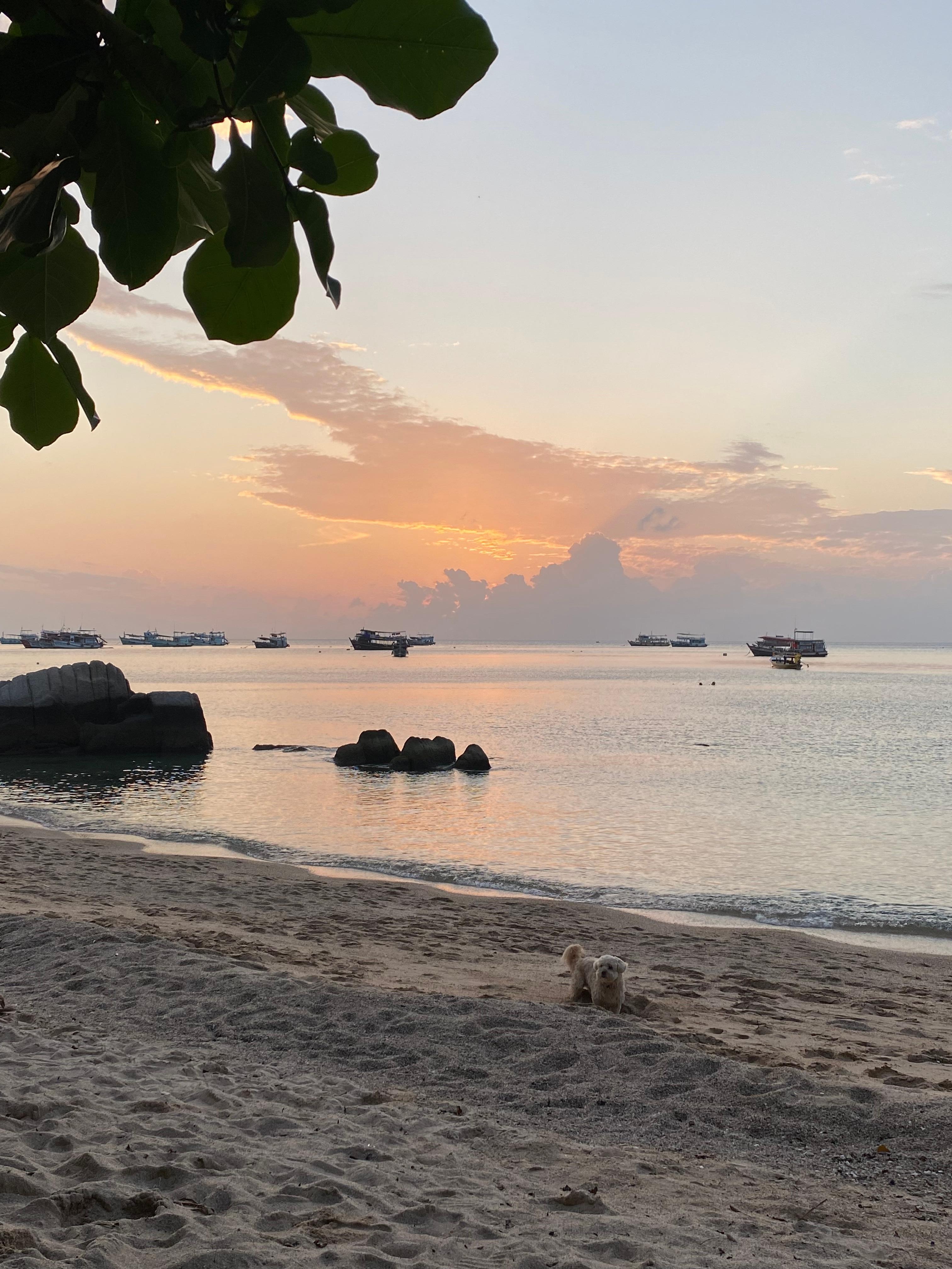 The Beach at the hotel 