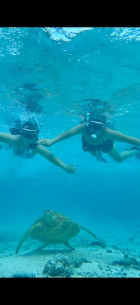 Swimming with turtles in the lagoon over the road