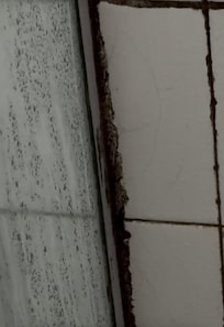 Mofo e Lodo no box do banheiro