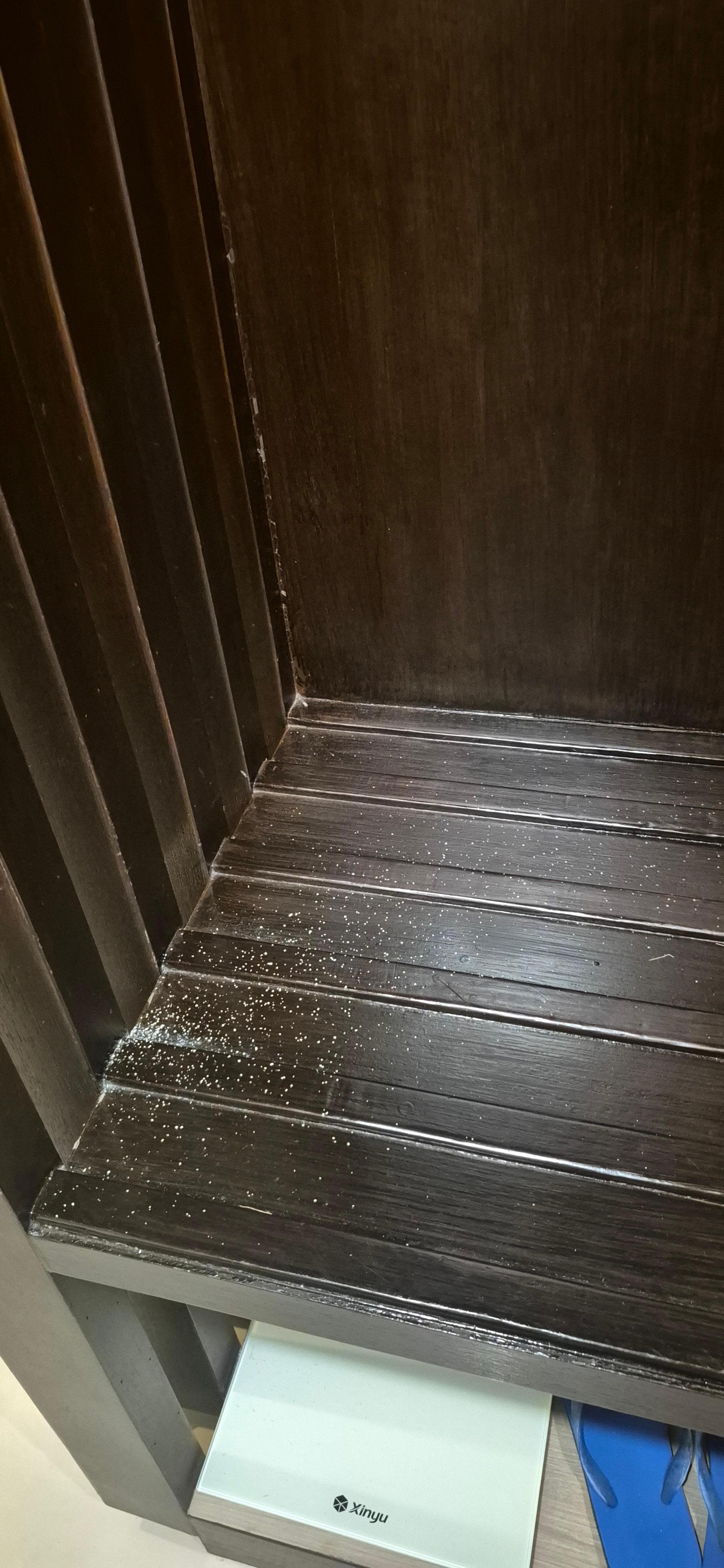 Small animals of some sort in the closet