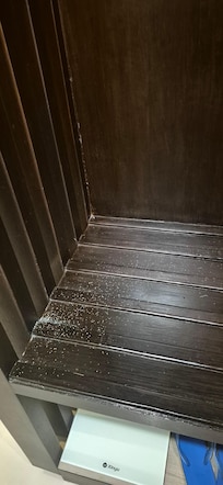 Small animals of some sort in the closet