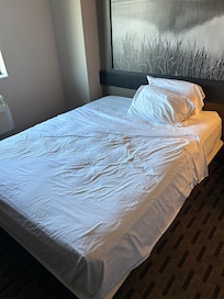 No blankets & stains/hair on sheets