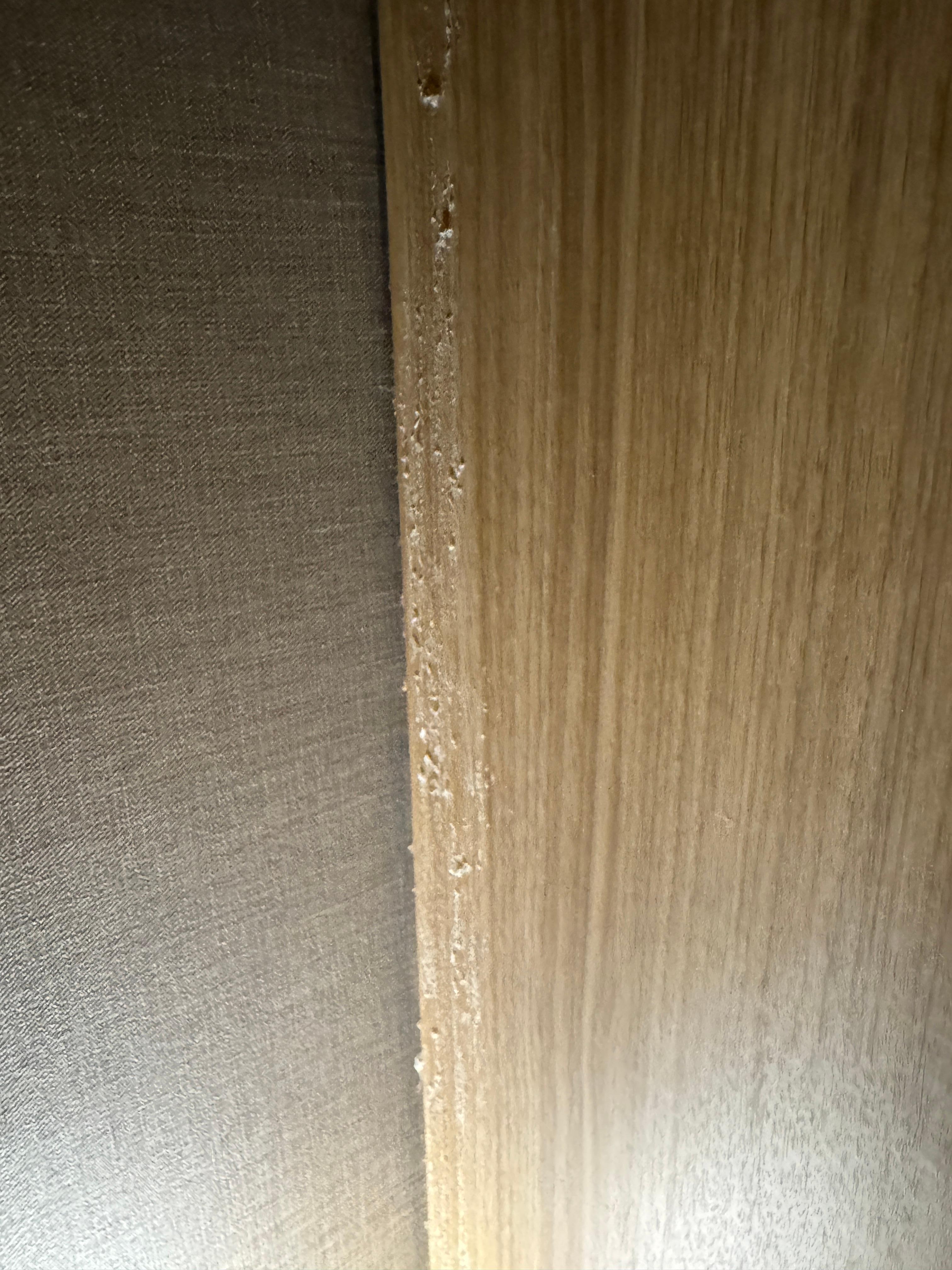 廁所牆壁上面長出白色奇怪物體沒有清潔